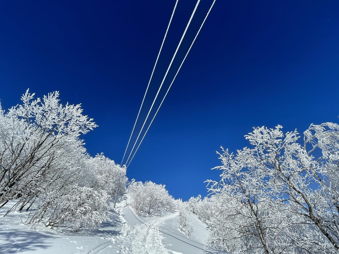 2022☆登り納め&🛷はじめ☆in仁頃山🤗 / momo🐦さんの仁頃山の活動データ | YAMAP / ヤマップ