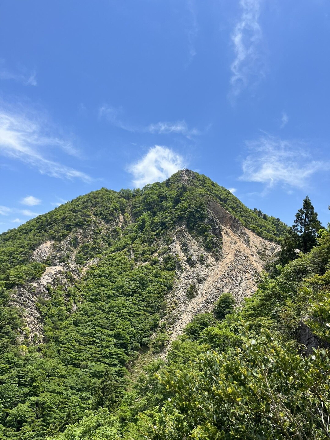 鎌ヶ岳 / EDAさんの入道ヶ岳・鎌ヶ岳・仙ヶ岳の活動データ | YAMAP / ヤマップ