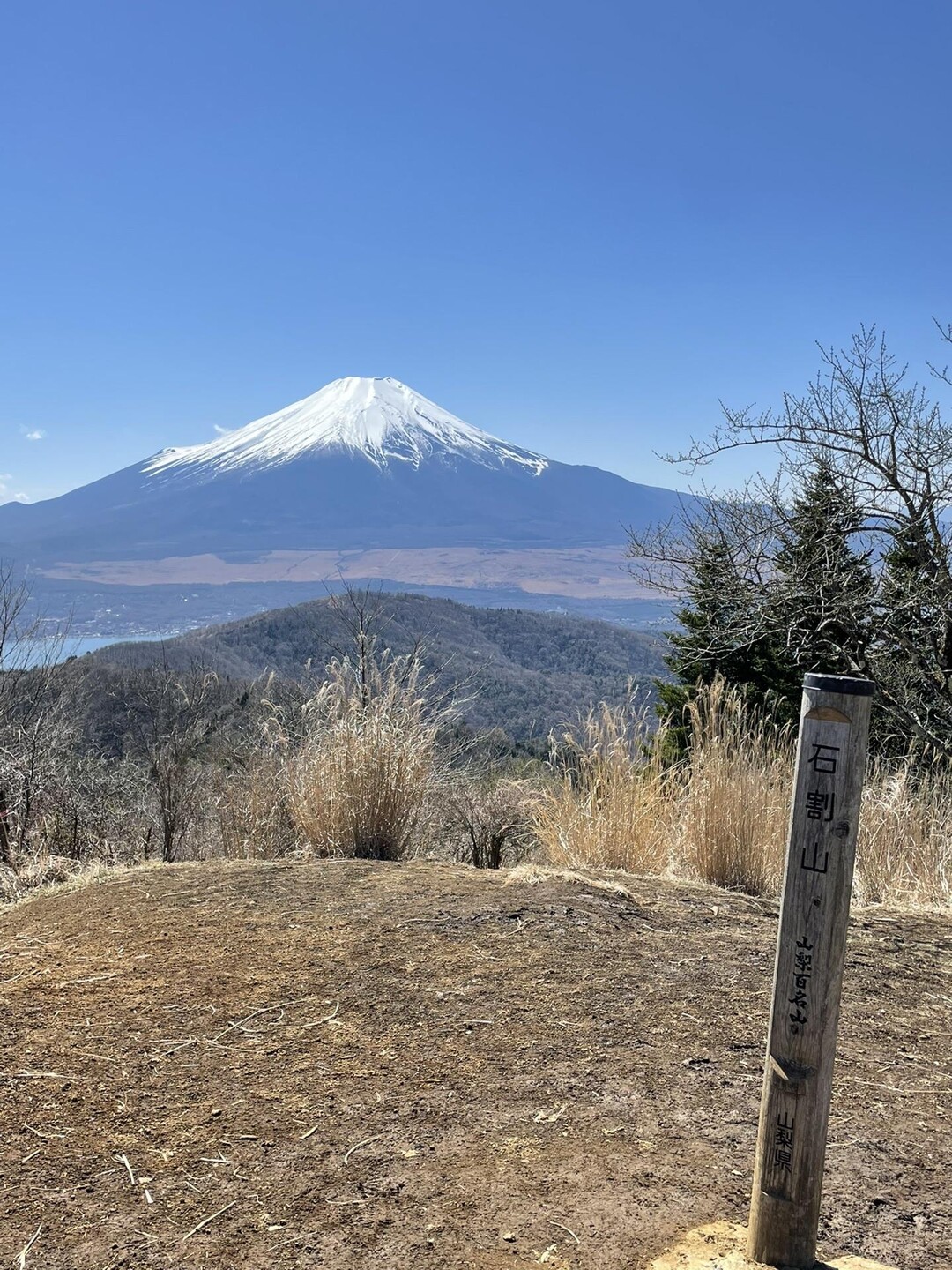 石割山〜大平山〜山中湖 / yookopさんの御正体山・杓子山・石割山の活動データ | YAMAP / ヤマップ