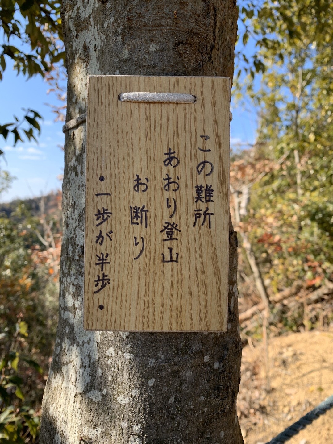 遙照山-2019-12-15 / Fujiyama Alreadyさんの遙照山の活動データ | YAMAP / ヤマップ