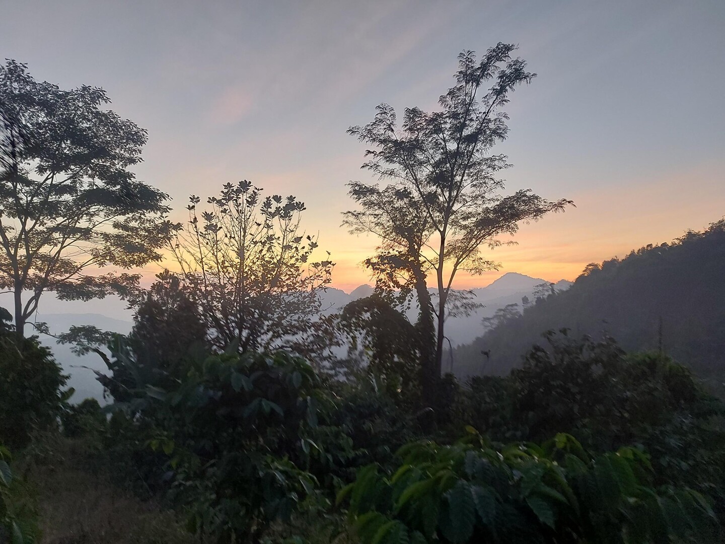 チサドン経由 北2→西 / OMUさんのクタ山の活動データ | YAMAP / ヤマップ