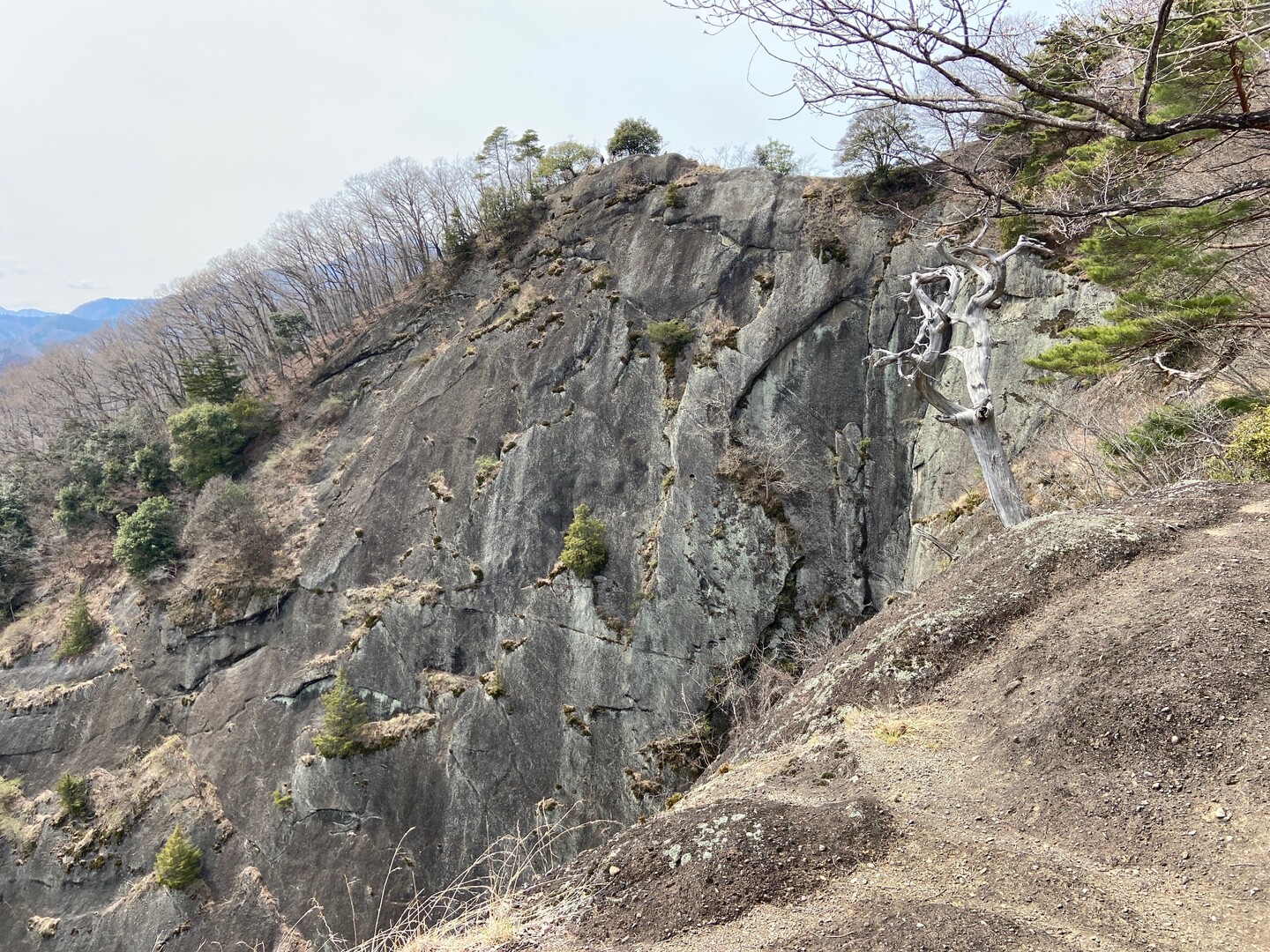 岩殿山（秀麗富嶽十二景） / kazu-bayさんの雁ヶ腹摺山・岩殿山の活動データ | YAMAP / ヤマップ