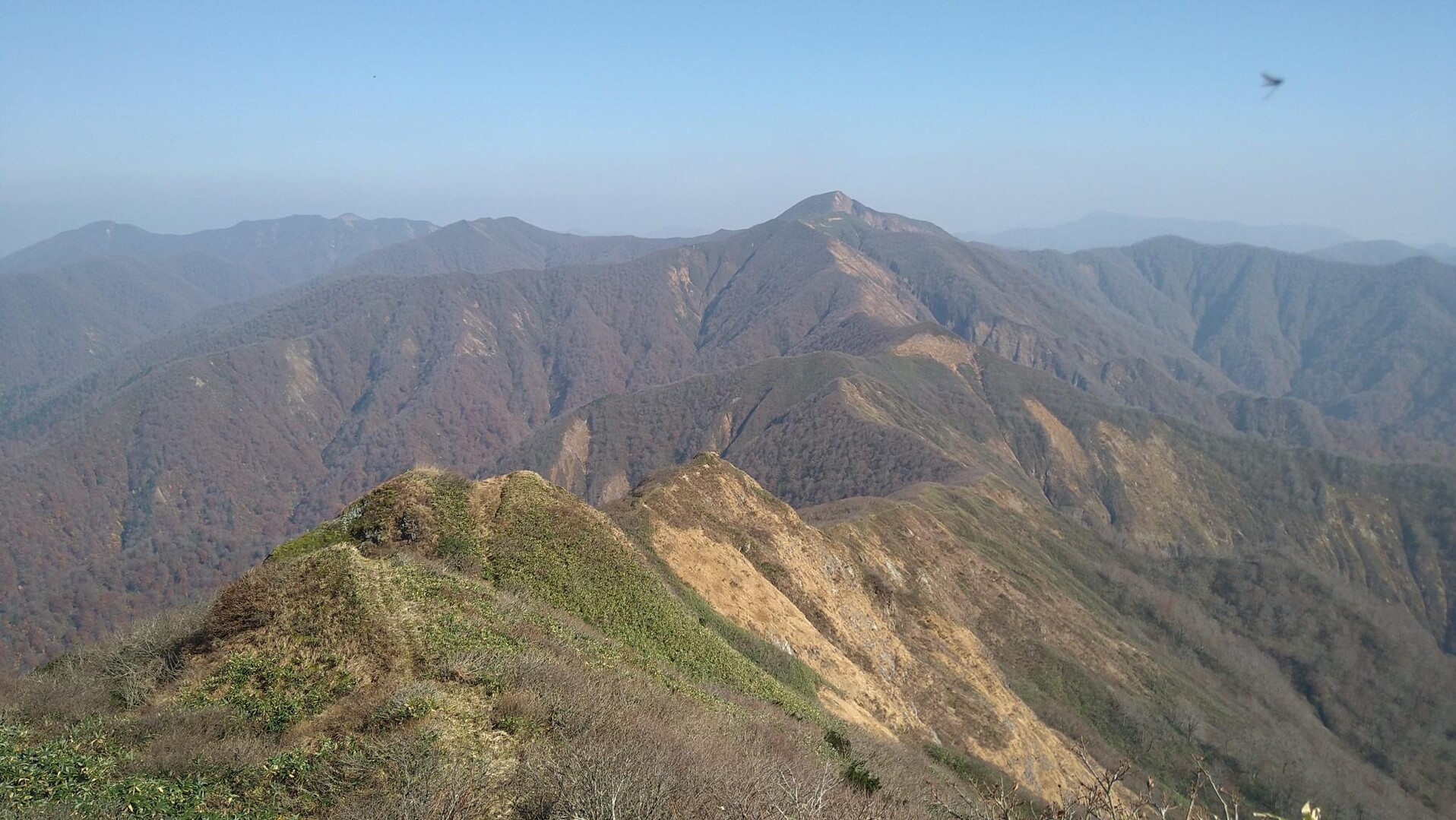 やま百🗻火打岳🍁 / こばさんの神室山・天狗森・火打岳の活動データ | YAMAP / ヤマップ