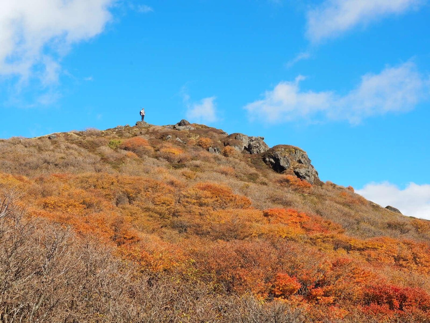 紅葉の九重、三俣山。 / tamuさんの九重山（久住山）・大船山・星生山の活動データ | YAMAP / ヤマップ