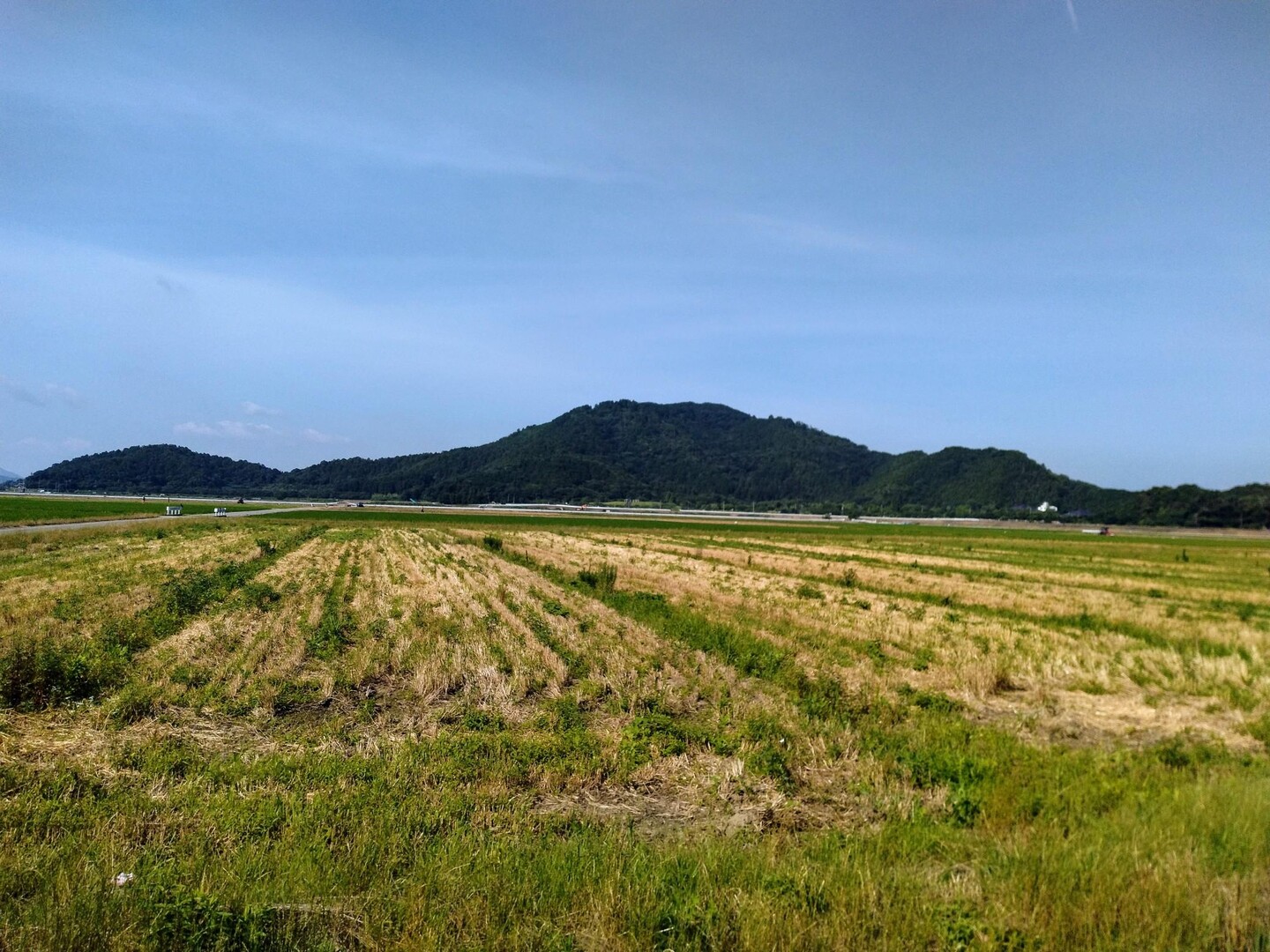 荒神山・日夏山 / YT9さんの荒神山の活動データ | YAMAP / ヤマップ