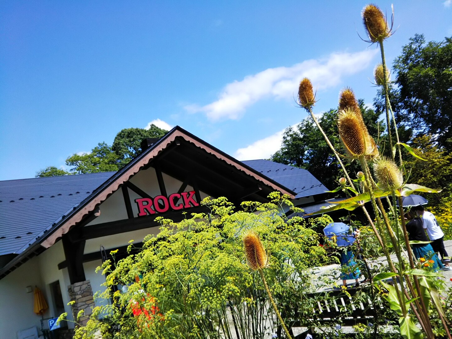 清里ROCKのカレーのために、 ｢安池ロード=清里開拓の道｣ / mwmin670605さんの八ヶ岳（赤岳・硫黄岳・天狗岳）の活動日記 | YAMAP / ヤマップ