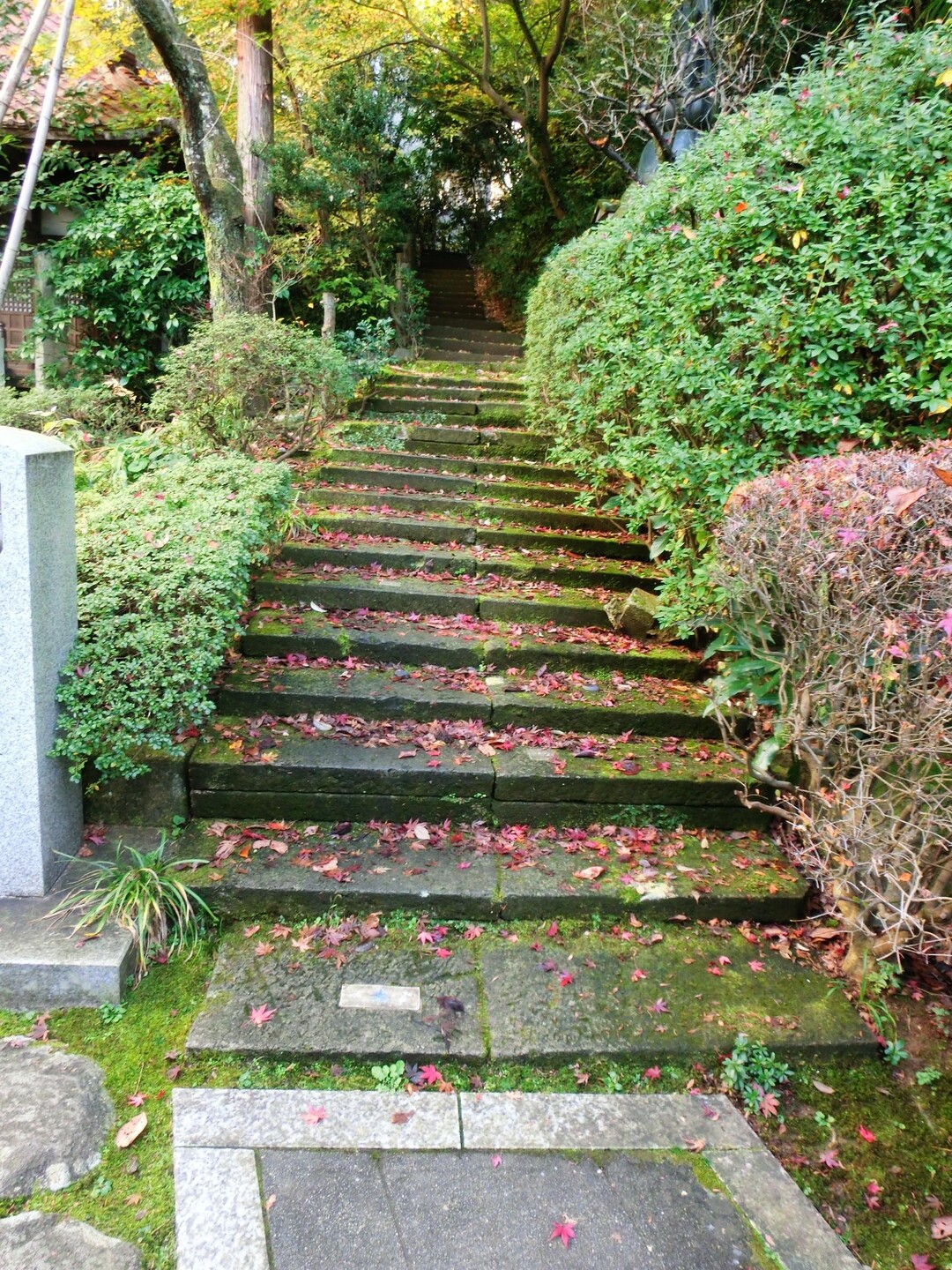 [石川旅行編2015]アイウエオの小径（... / 猫息子さんのモーメント | YAMAP / ヤマップ