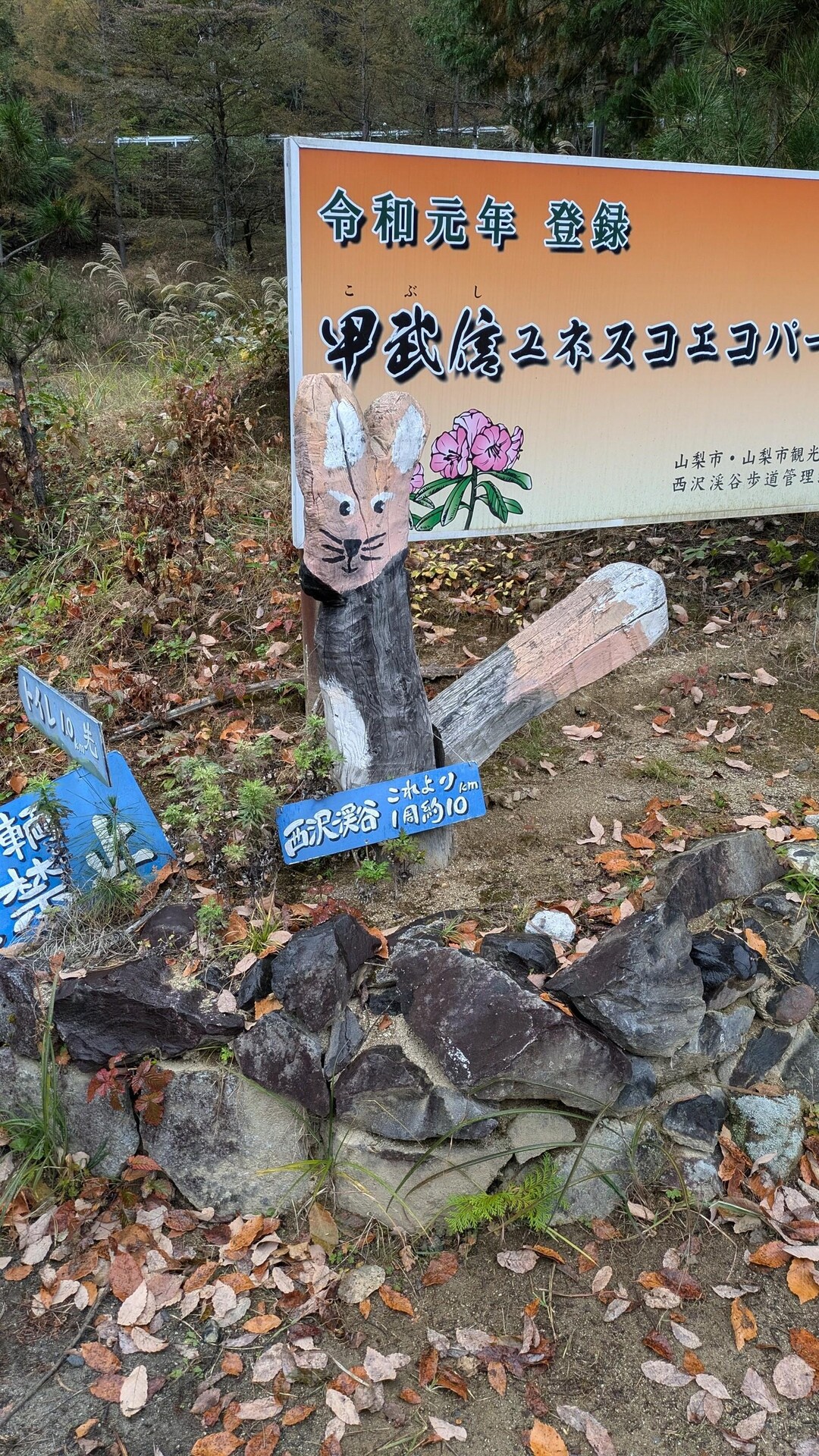 西沢渓谷 / saitoさんさんのウォーキングの活動データ | YAMAP / ヤマップ