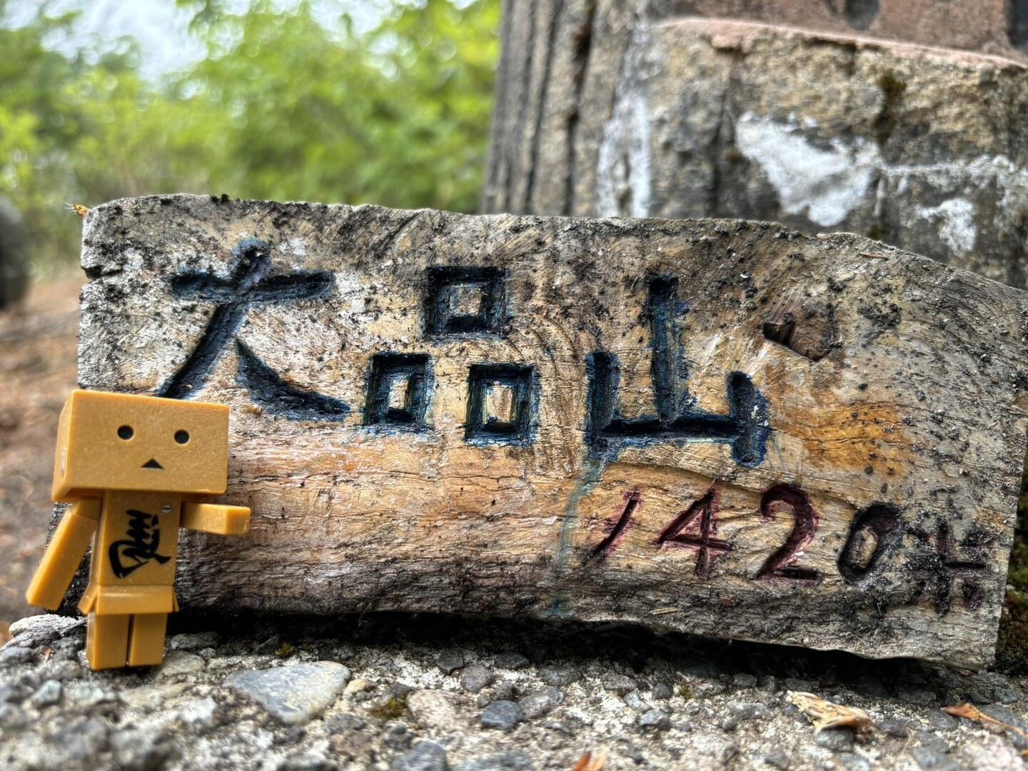 歩荷トレーニング26.5kg 瀬戸蔵山・大品山 / ムロさんの鍬崎山・大品山・瀬戸蔵山の活動データ | YAMAP / ヤマップ