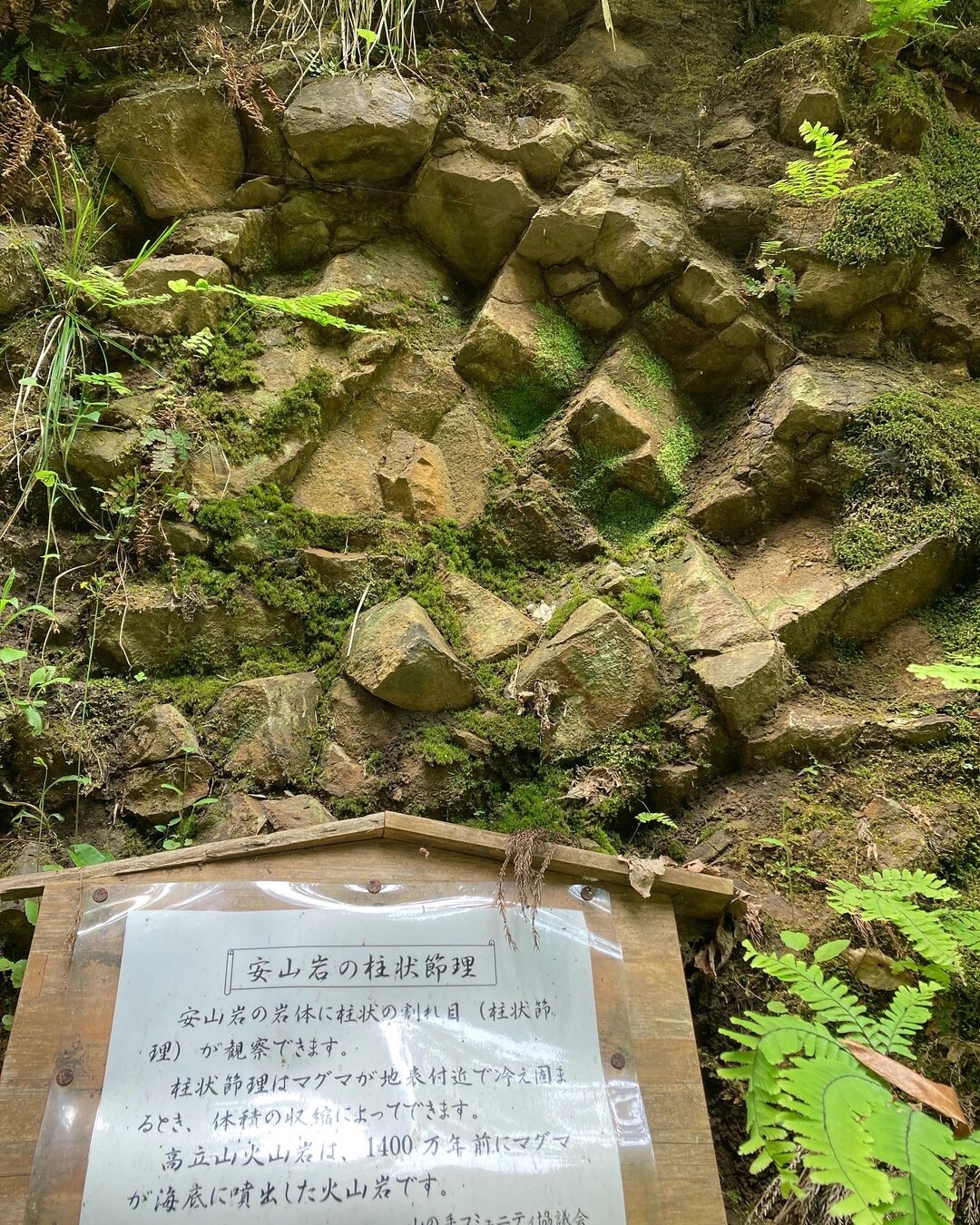 276mの里山を下って、たまたま出会った... / じゅんぺいさんのモーメント | YAMAP / ヤマップ