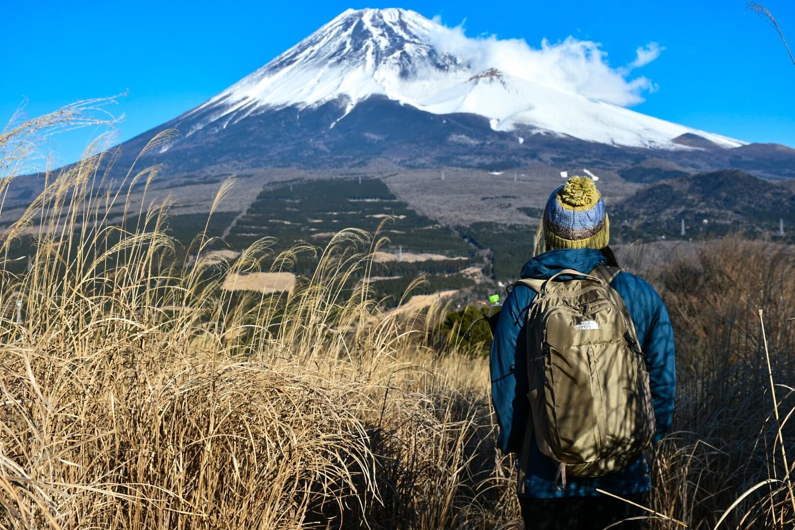 越前岳 / Konoさんの愛鷹山・大岳・黒岳の活動データ | YAMAP / ヤマップ