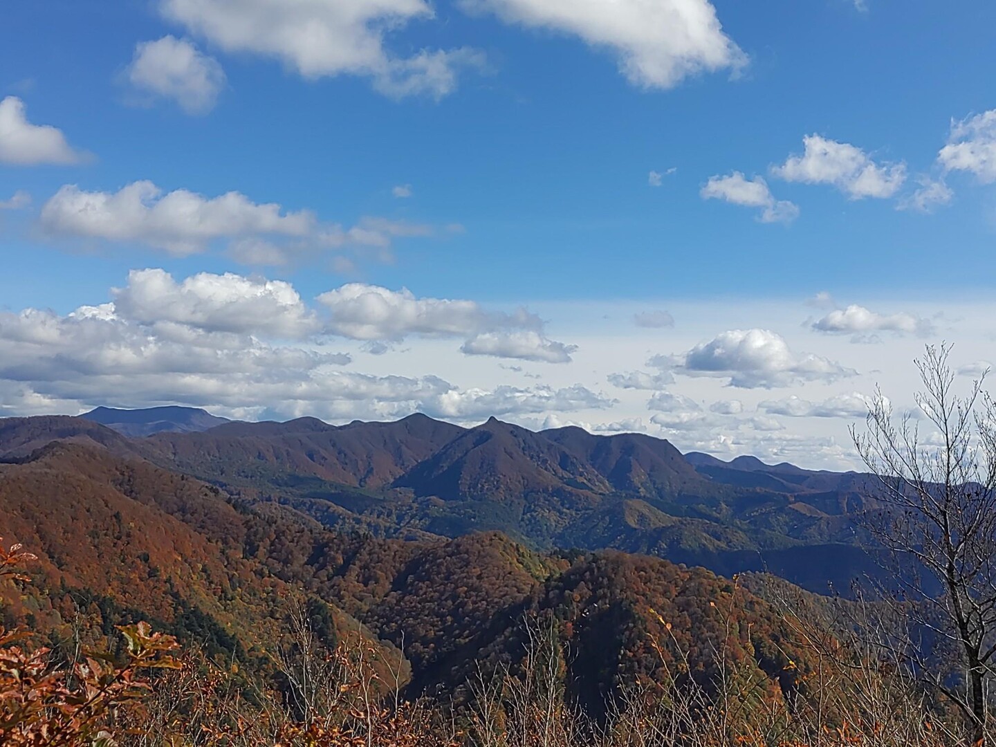 甑岳 / 大黒森PJ(旧FCドロンパ)さんの甑岳・楯山の活動データ | YAMAP / ヤマップ