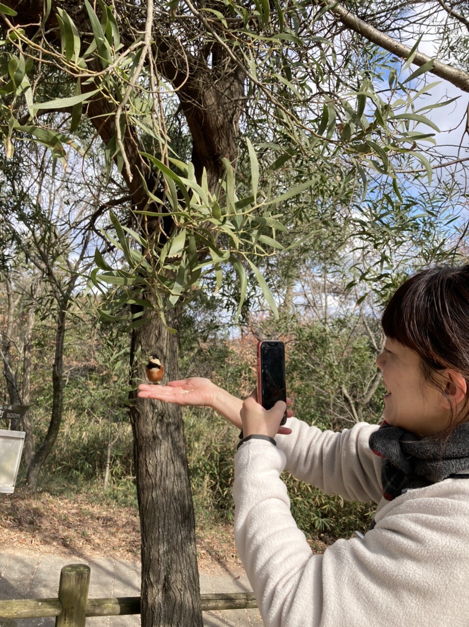 akiのページ | YAMAP / ヤマップ