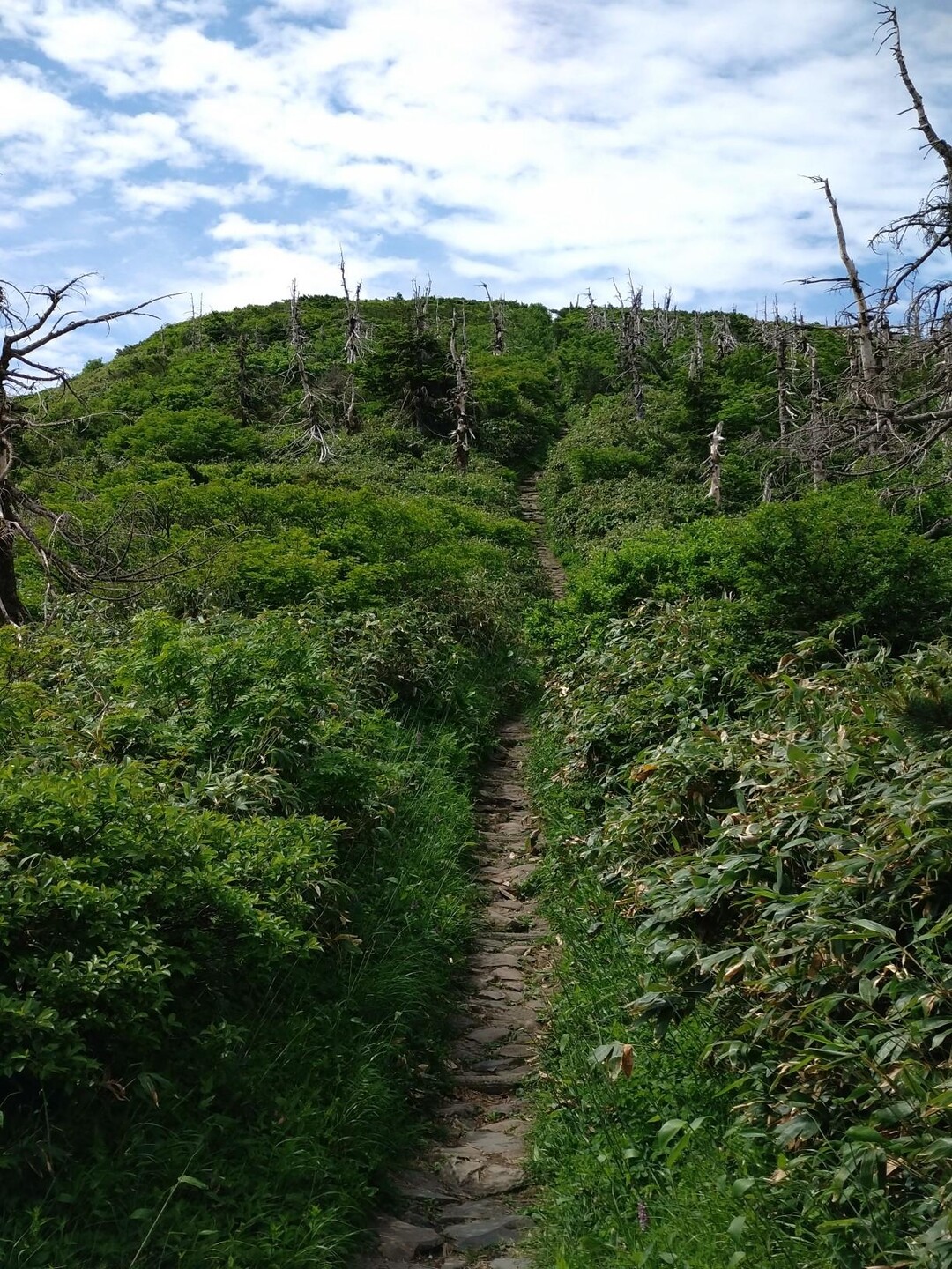 地蔵岳・蔵王山(熊野岳)・刈田岳 / KJトーマスさんの蔵王山・雁戸山・不忘山の活動データ | YAMAP / ヤマップ