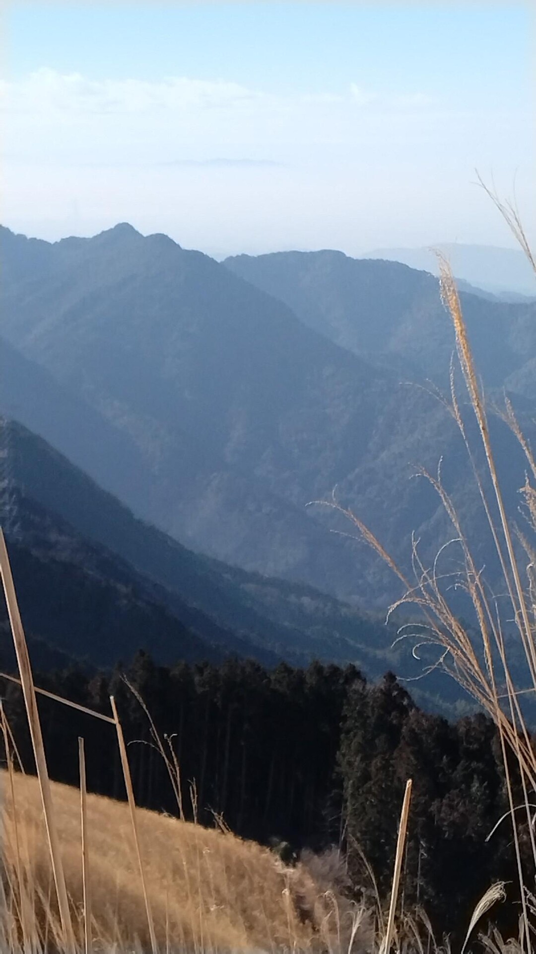 岩湧山 2024/2/17 / masaさんの岩湧山・一徳防山・三石山の活動データ | YAMAP / ヤマップ