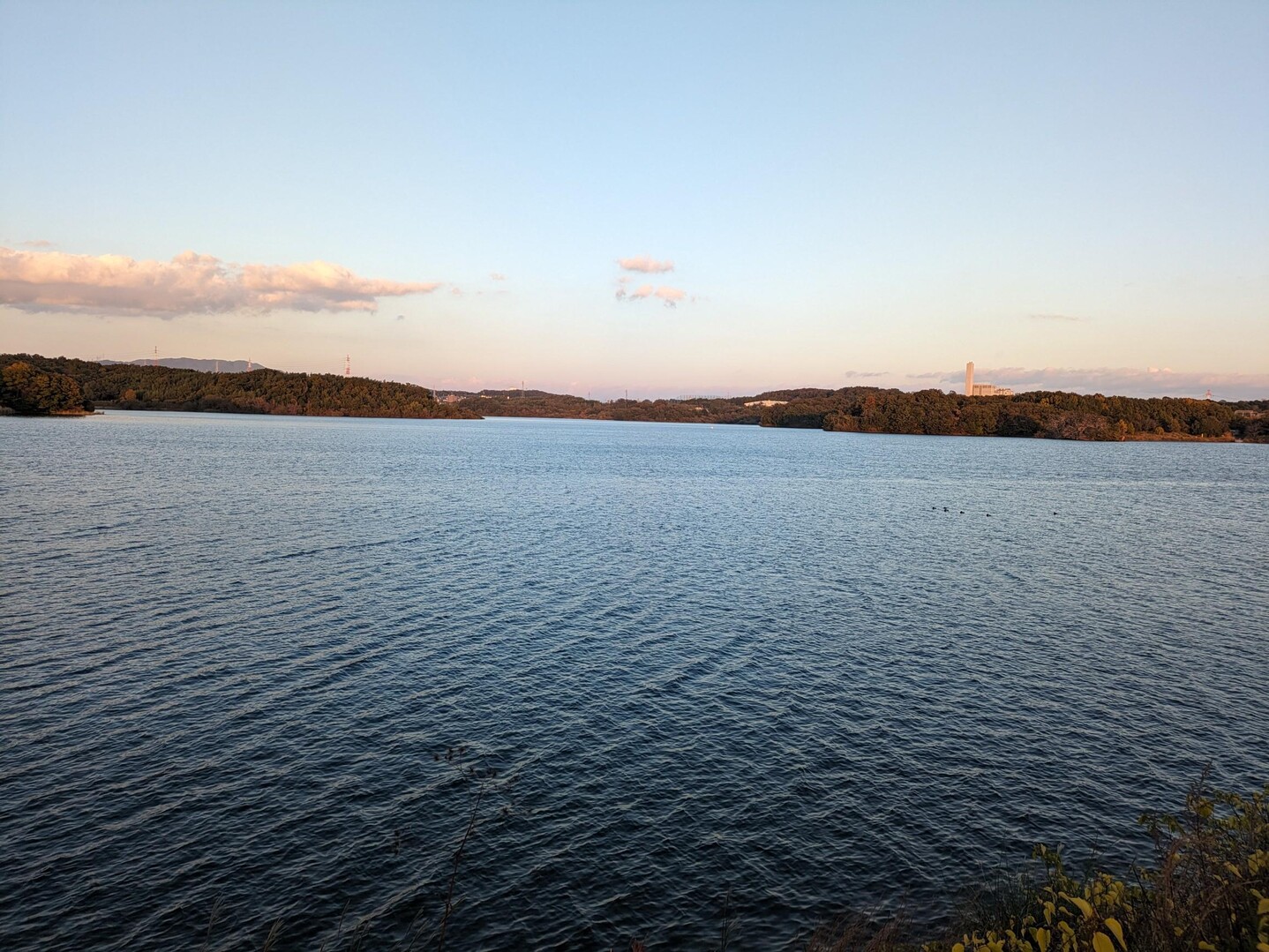 愛知池〜リハビリウォーキング / coconut-yoyoさんのウォーキングの活動データ | YAMAP / ヤマップ