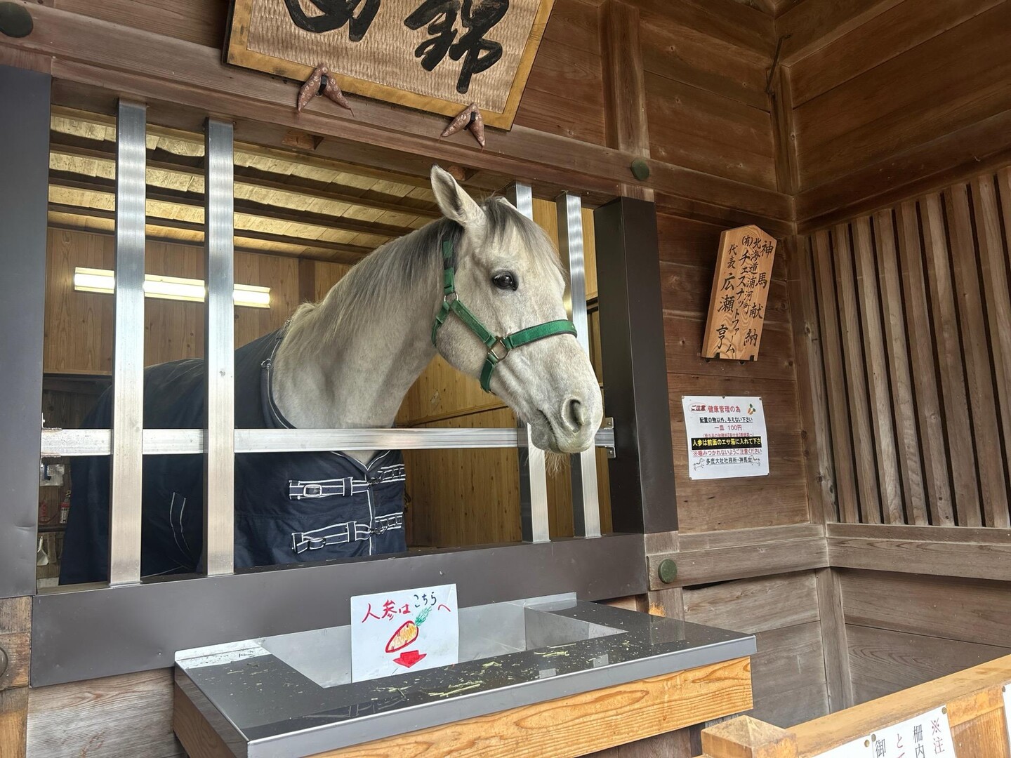 多度山〜30回目〜 / panさんの多度山・美濃松山・石津御嶽の活動データ | YAMAP / ヤマップ