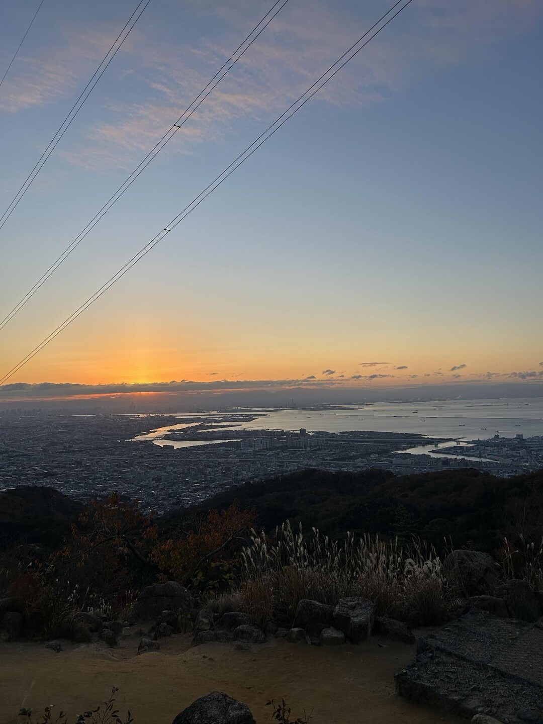 六甲山最高峰・東お多福山・蛇谷北山 / mieさんの六甲山・長峰山・摩耶山の活動データ | YAMAP / ヤマップ