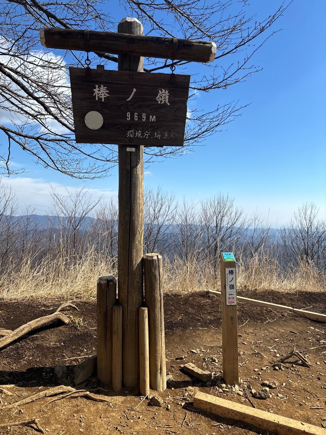 棒ノ嶺（棒ノ折山） / nickさんの棒ノ折山（棒ノ嶺）の活動データ | YAMAP / ヤマップ
