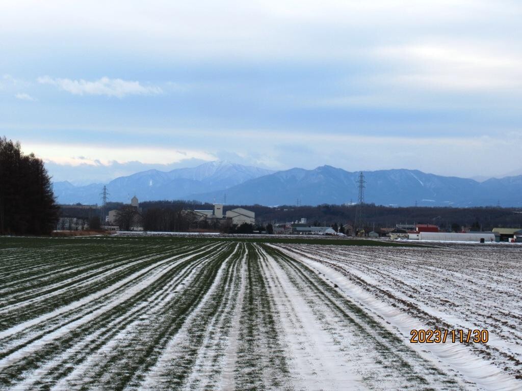 ウオーキング-2023-11-30 / miyaさんのウォーキングの活動データ | YAMAP / ヤマップ