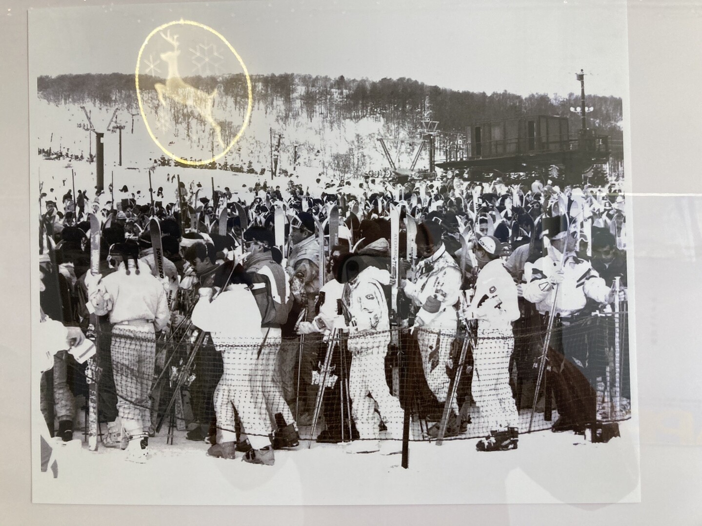 天然コブ 往時を彷彿 ありがとうMr.... / yellowさんのモーメント | YAMAP / ヤマップ