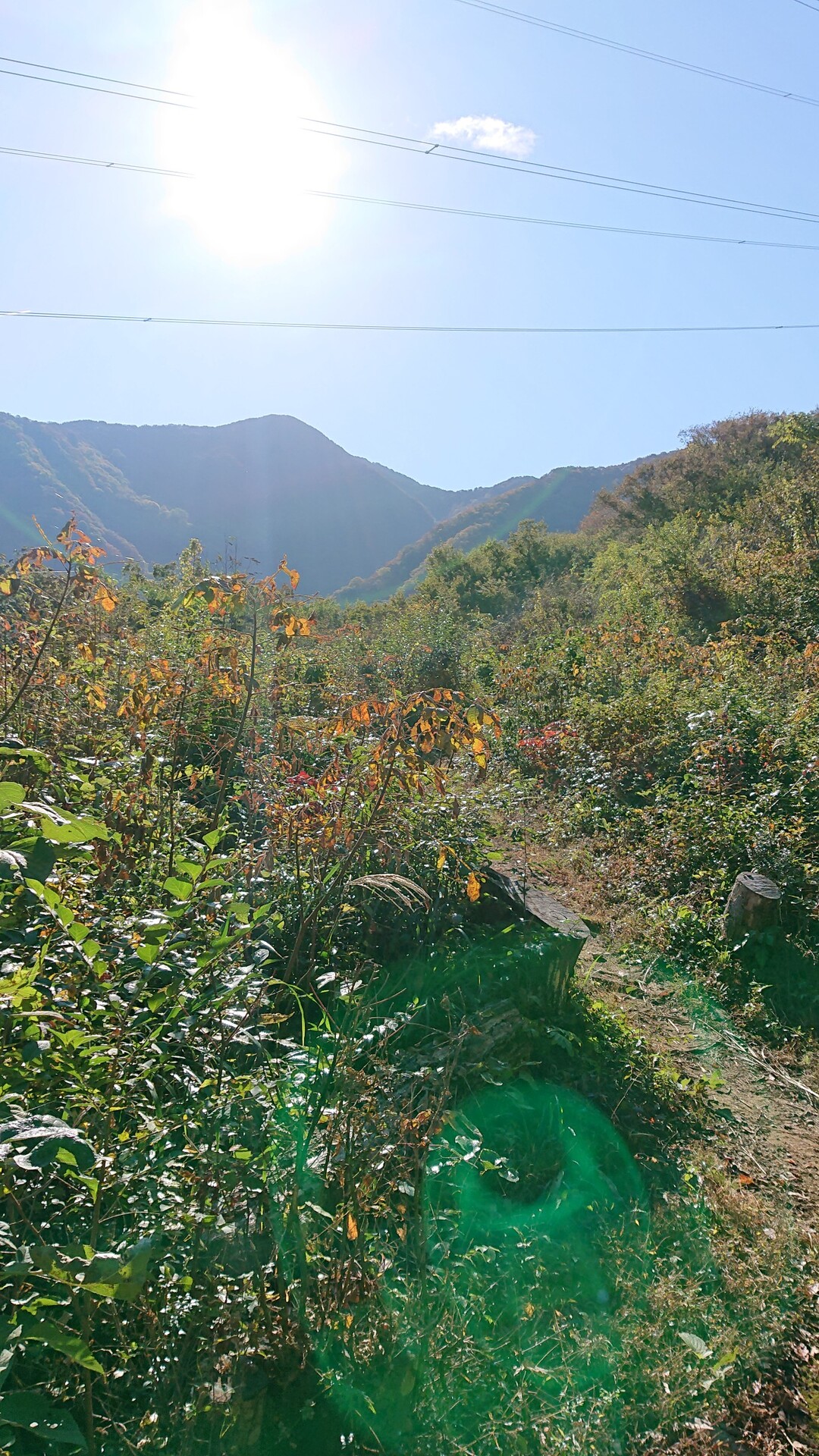 富士写ヶ岳 (3回目) / jt0450さんの富士写ヶ岳・小倉谷山・火燈山の活動データ | YAMAP / ヤマップ