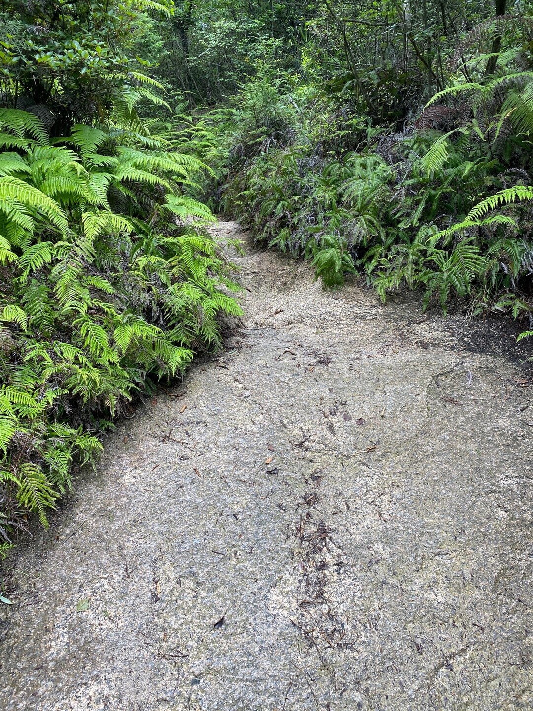 TRさんの投稿したフィールドメモ | YAMAP / ヤマップ