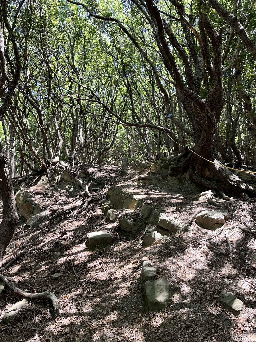 e nakaさんの投稿したフィールドメモ | YAMAP / ヤマップ