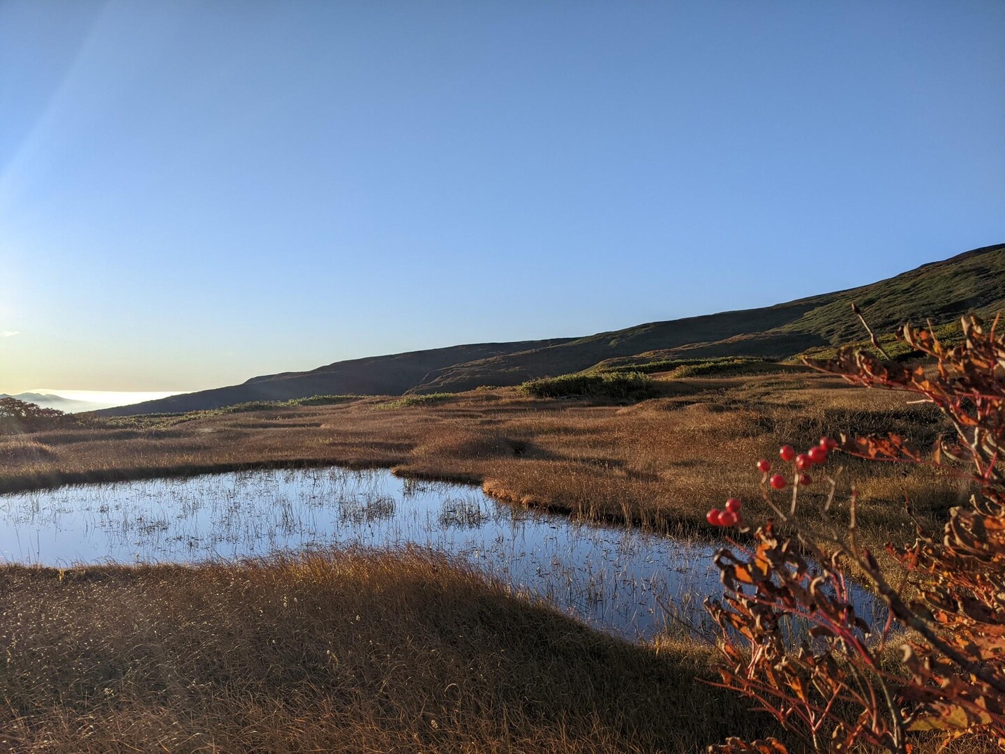 月山 三連休最終日は月山。草紅葉が素晴... / YOLOさんのモーメント | YAMAP / ヤマップ