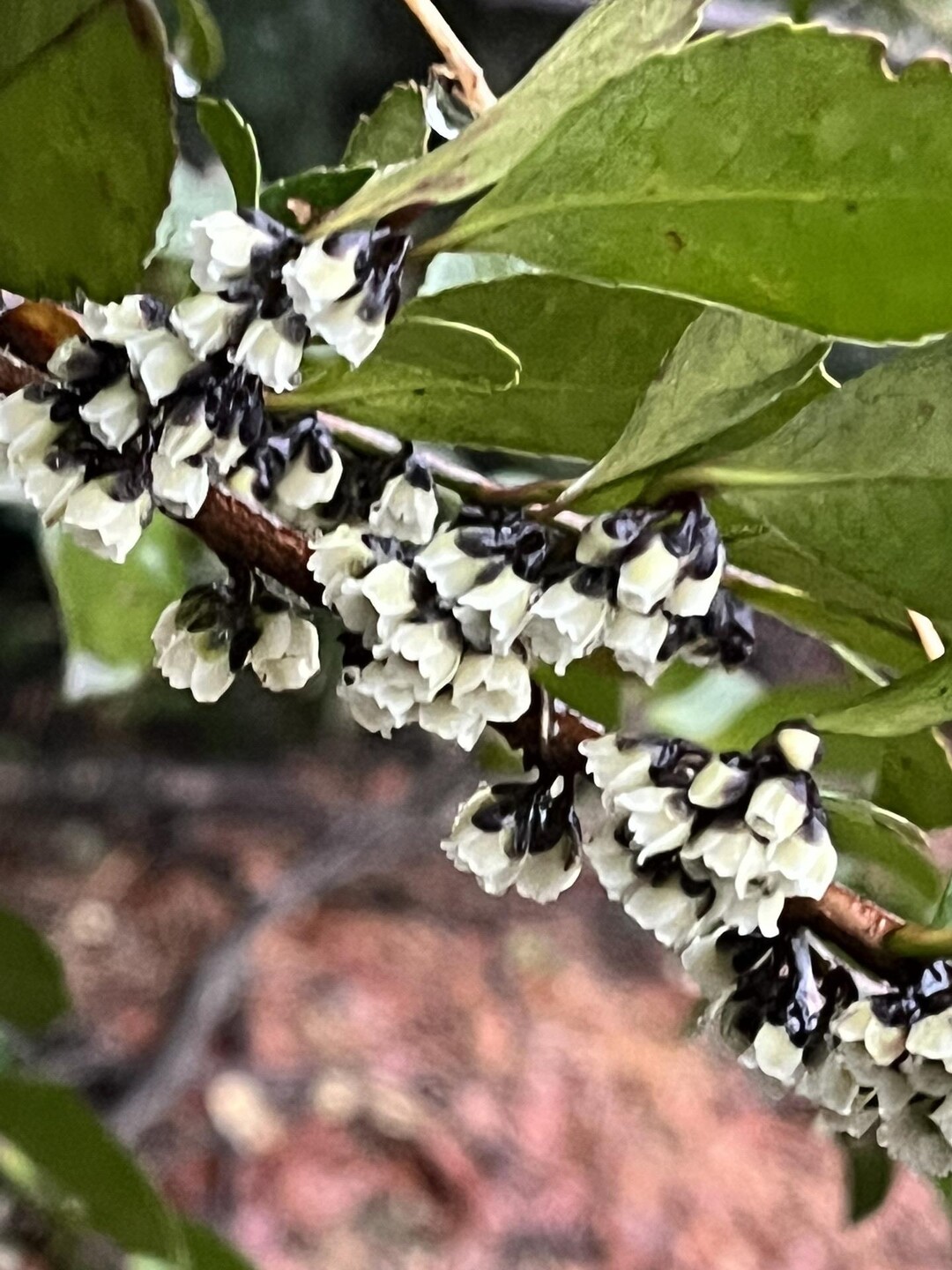 寒いけど春もう少し！城山(168回)・法尻山(122回) / ポンコツさんの呉羽山・城山の活動データ | YAMAP / ヤマップ