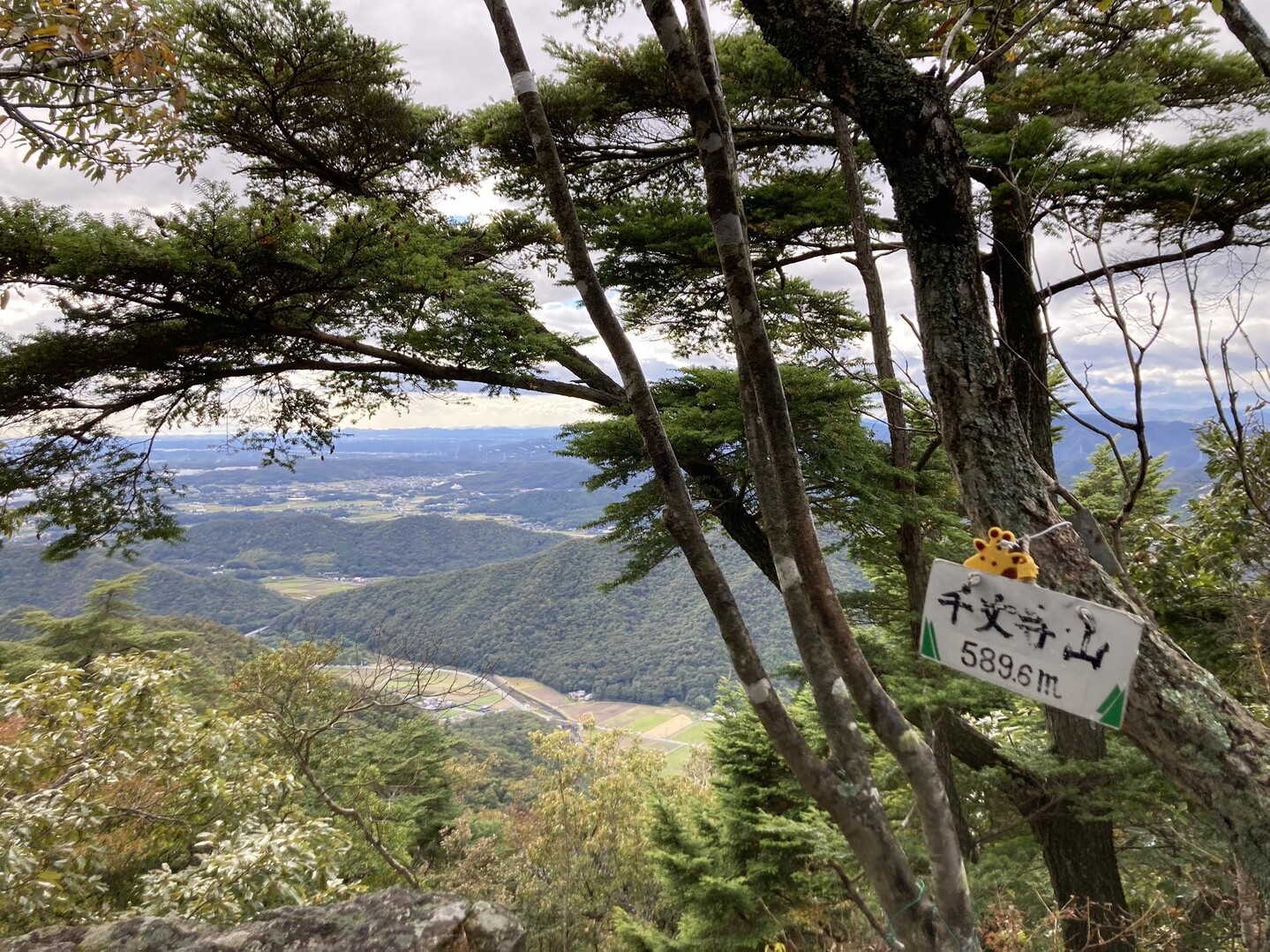 千丈寺山・北千丈寺山 / Yuriさんの千丈寺山・てんぐの森の活動データ | YAMAP / ヤマップ