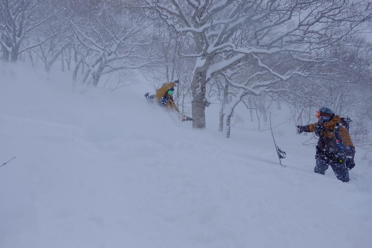 2024.03.03 栗駒山BC / たっさんさんのモーメント | YAMAP / ヤマップ
