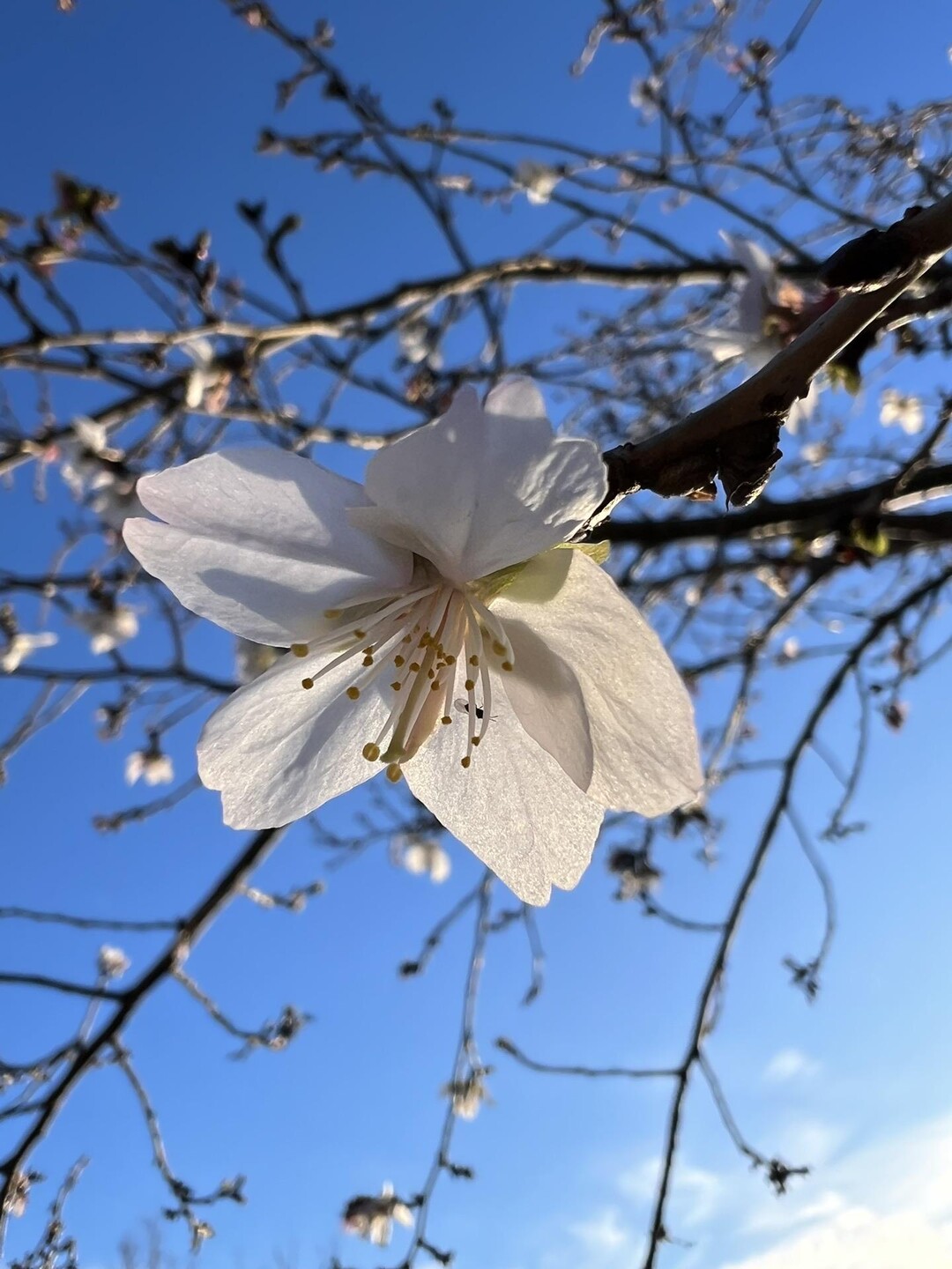 66,69 も一度 筑波山 / snoopyさんの筑波山の活動データ | YAMAP / ヤマップ