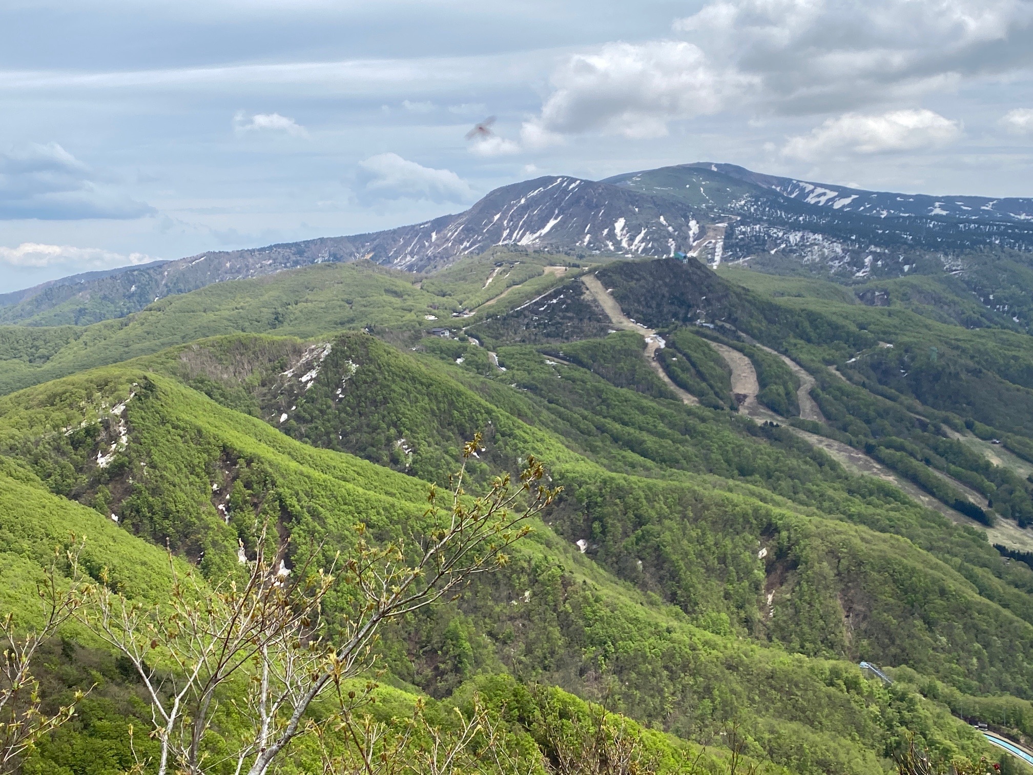 【瀧山へTry again‼️٩( 'ω' )و】 / peek a booʕ•ᴥ•ʔさんの蔵王山・雁戸山・不忘山の活動データ | YAMAP / ヤマップ