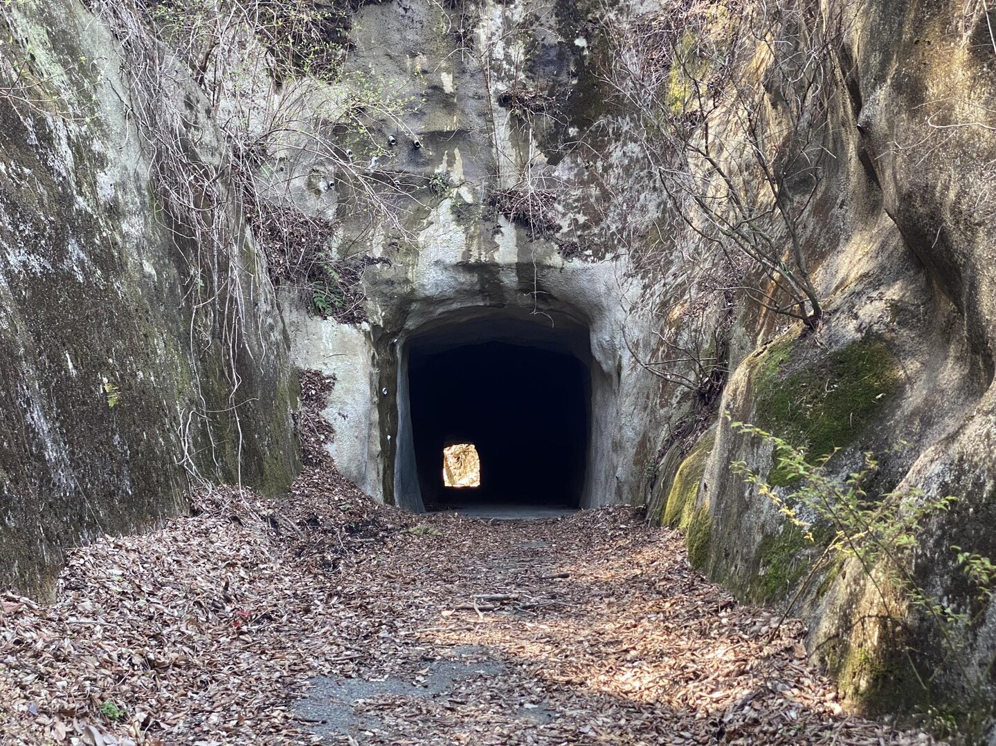 雁股山 かりまたやま（東峰&西峰） / MTCさんのハイキングの活動データ | YAMAP / ヤマップ