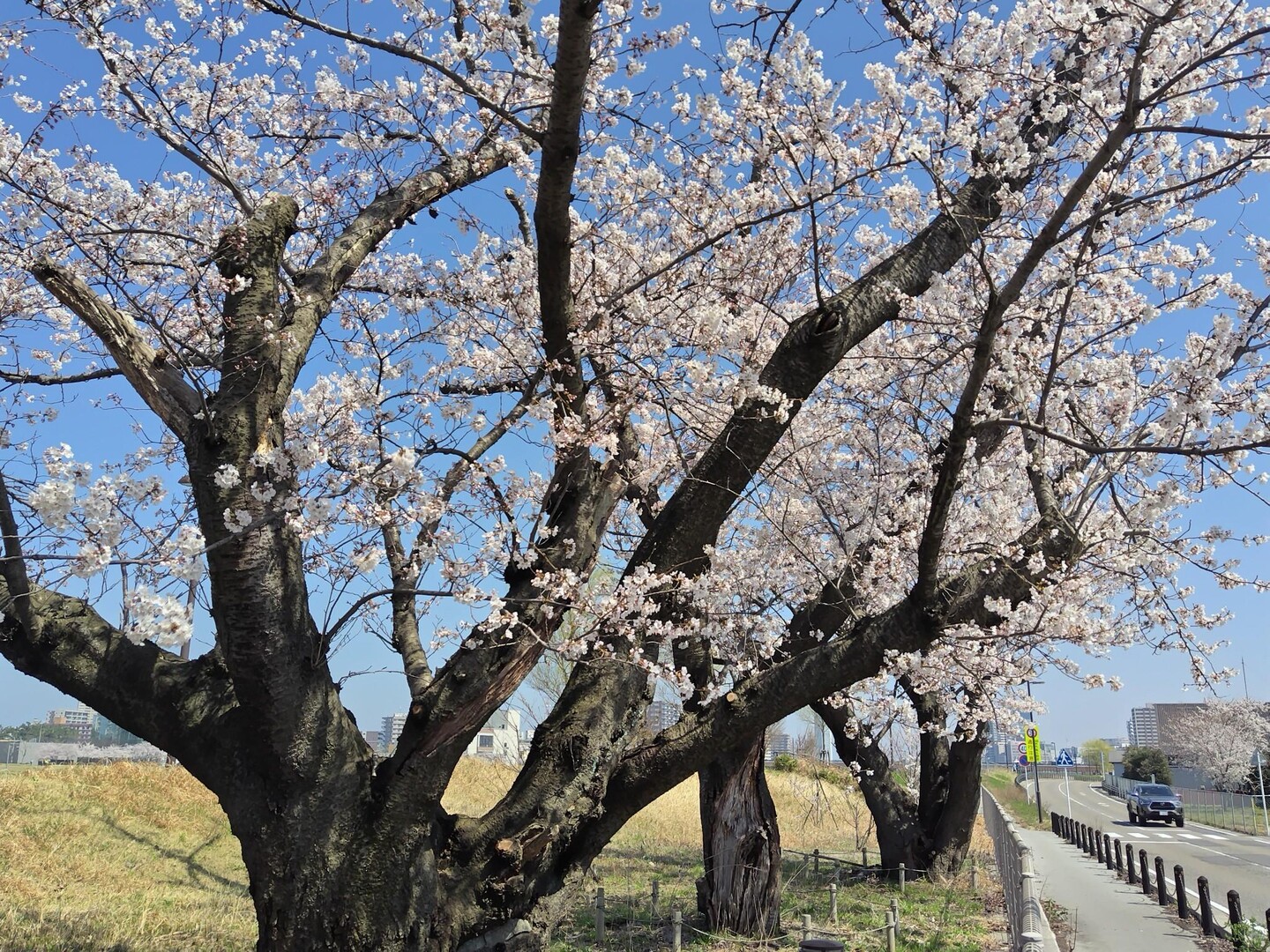 2023-04-01 初めてのヤマップ / akiさんの登山の活動データ | YAMAP / ヤマップ