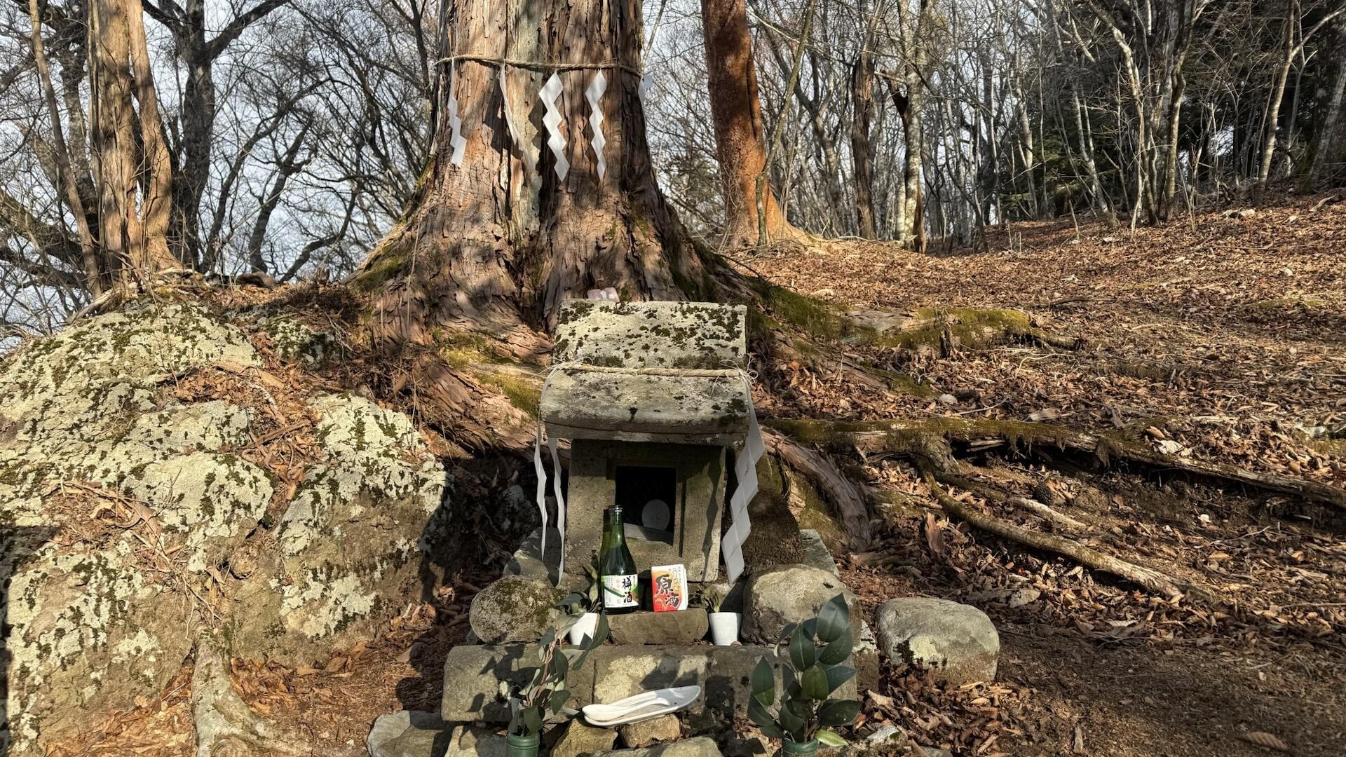 天子ヶ岳128・長者ヶ岳158 / ゆっちさんの長者ヶ岳・天子ヶ岳の活動データ | YAMAP / ヤマップ