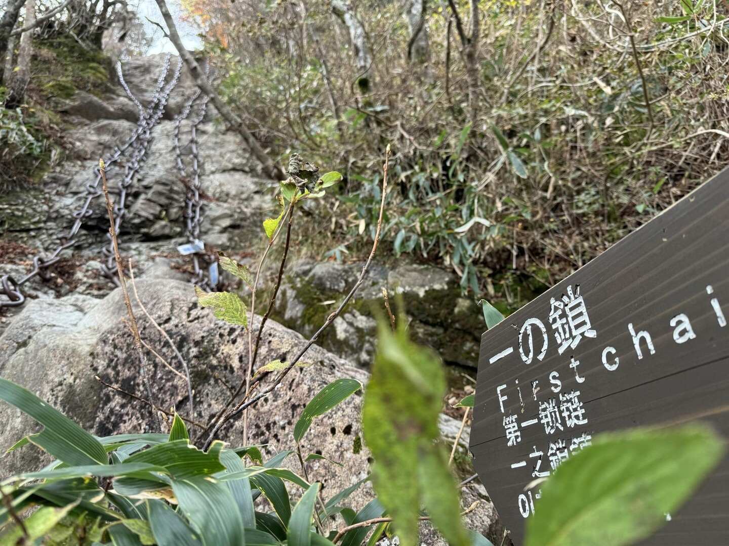 genchさんの投稿したフィールドメモ | YAMAP / ヤマップ