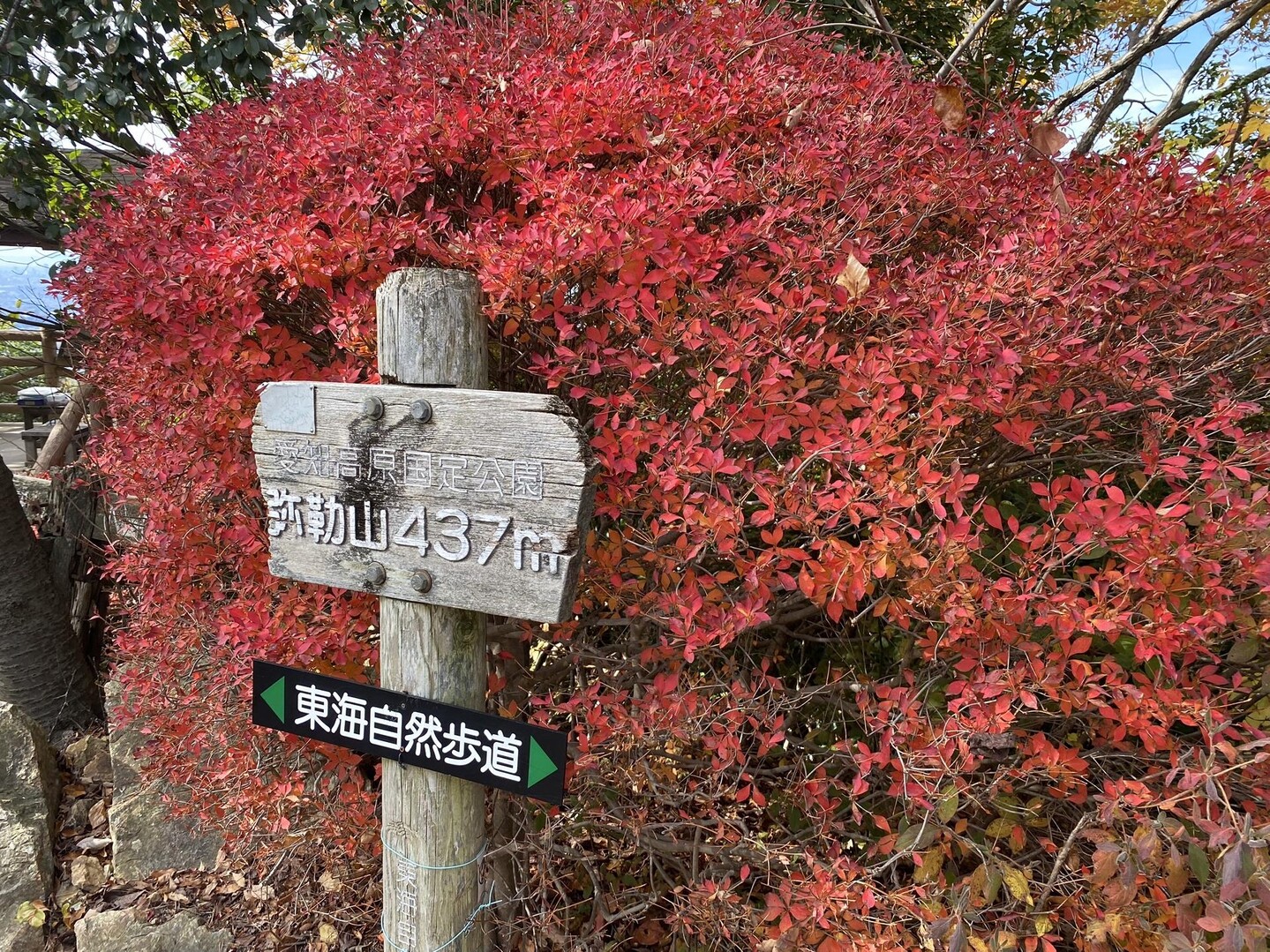 道樹山・大谷山・弥勒山 / TKさんの春日井三山・弥勒山・大谷山・道樹山の活動データ | YAMAP / ヤマップ