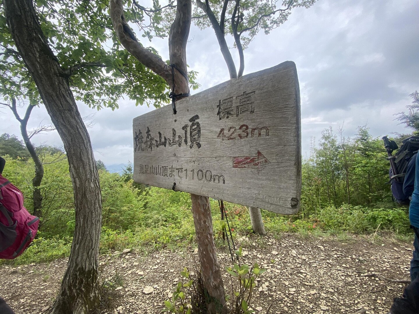 鶏足山・焼森山 / nachaさんの焼森山・鶏足山の活動日記 | YAMAP / ヤマップ