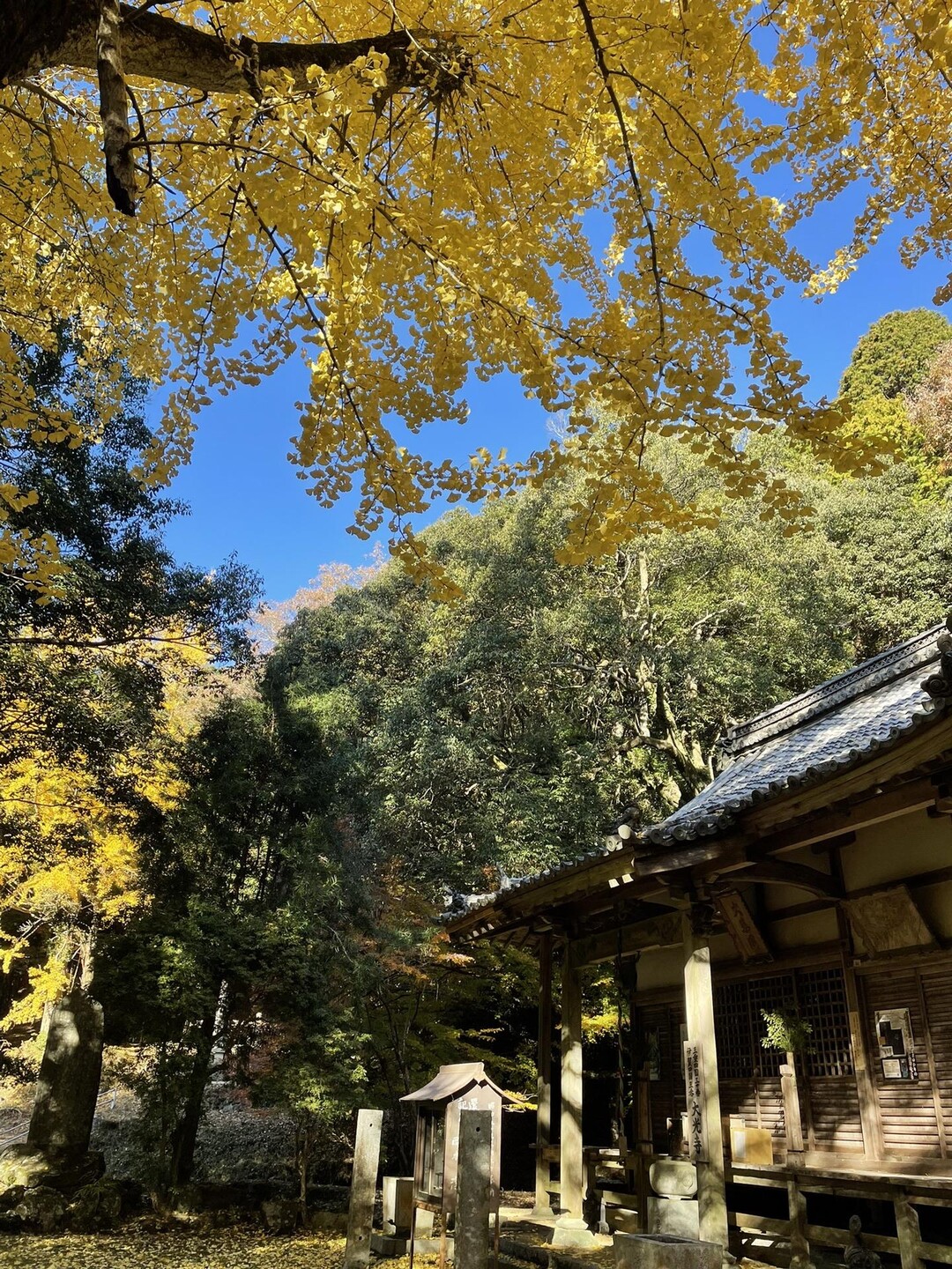 敢國神社から南宮山（伊賀小富士）・岡山 そして岡八幡宮へ / nagait01さんの南宮山（伊賀小富士）の活動データ | YAMAP / ヤマップ