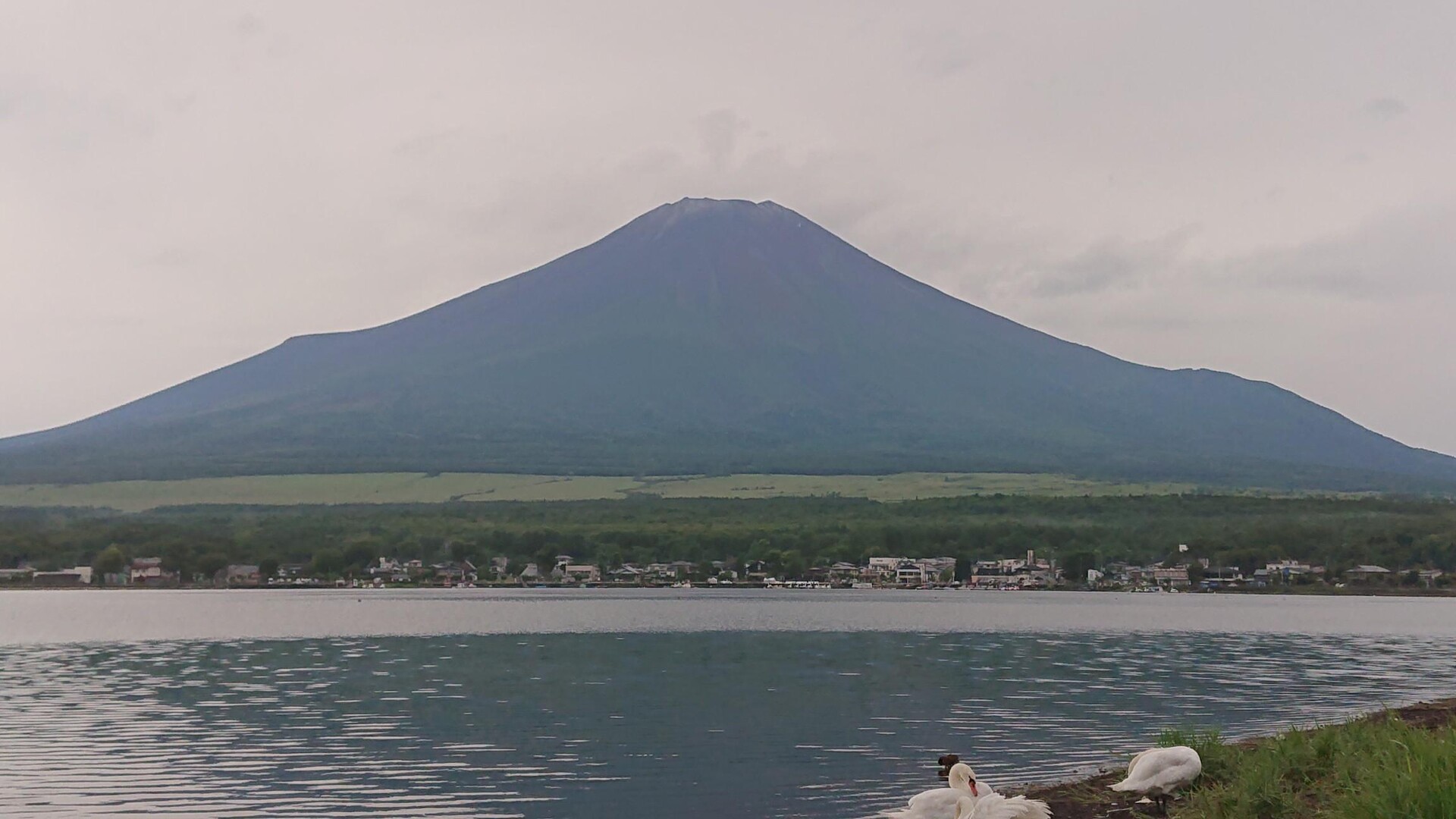 06:30 20℃ 雨上がり、青々として... / 峰さんのモーメント | YAMAP / ヤマップ