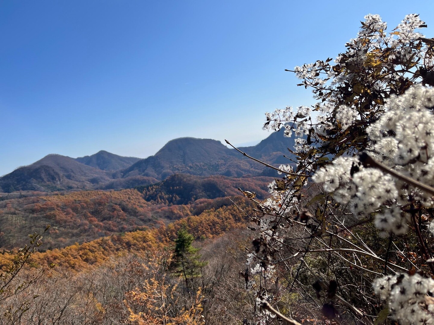 Maa さんの投稿したフィールドメモ | YAMAP / ヤマップ