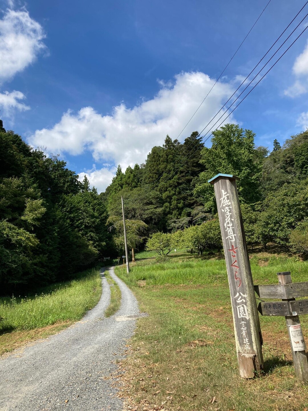 西山高取〜根っこ山〜大高取山〜桂木山 / Mr.wwYwwさんの大高取山の活動データ | YAMAP / ヤマップ