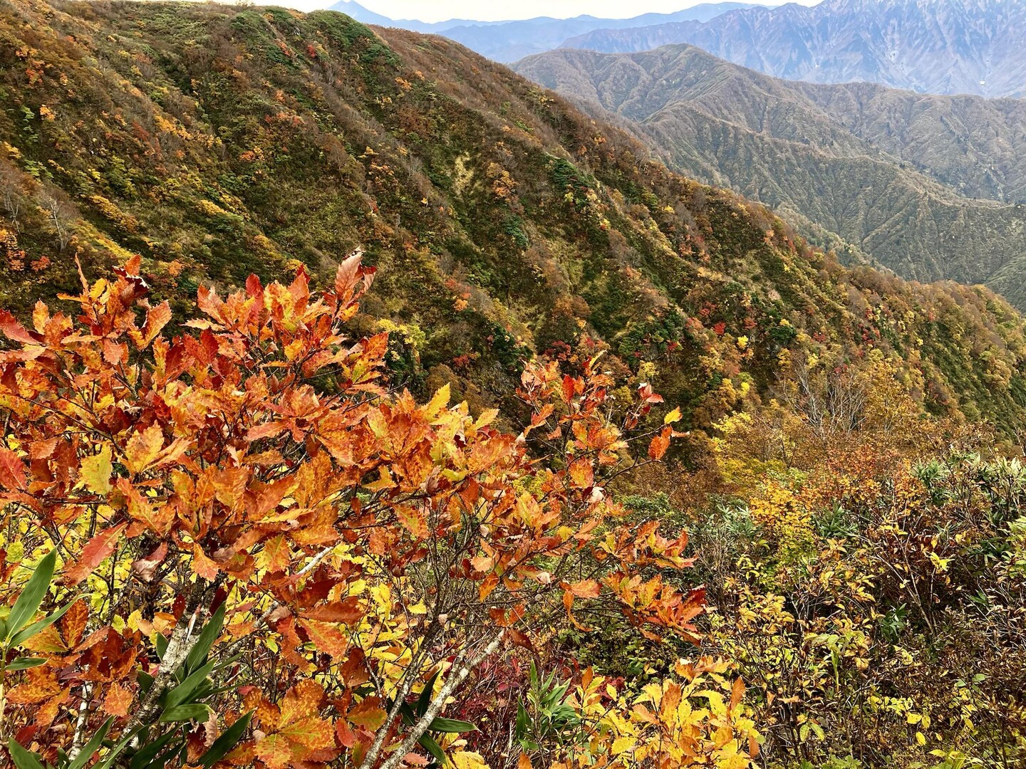 未丈ヶ岳 / 727Kさんの未丈ヶ岳の活動データ | YAMAP / ヤマップ