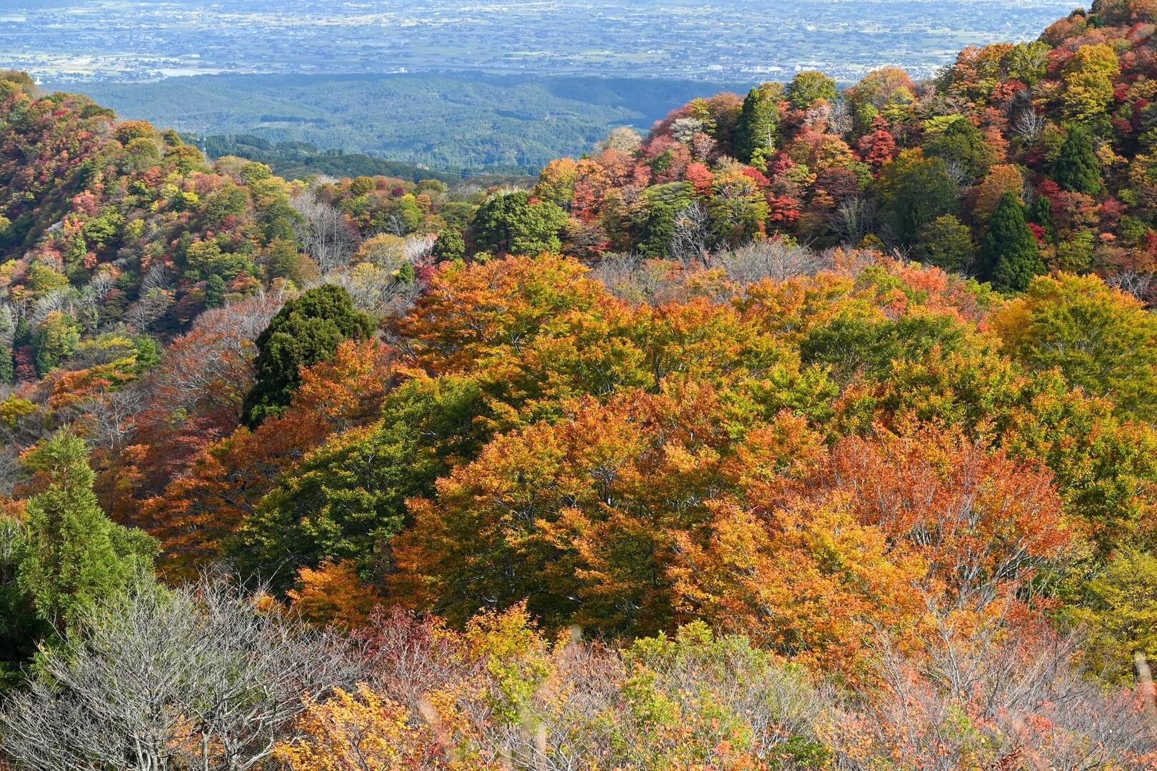 彩やかな紅葉ハイク『医王山』に行ってみた！ / makkoさんの医王山・白兀山・箱屋谷山の活動データ | YAMAP / ヤマップ