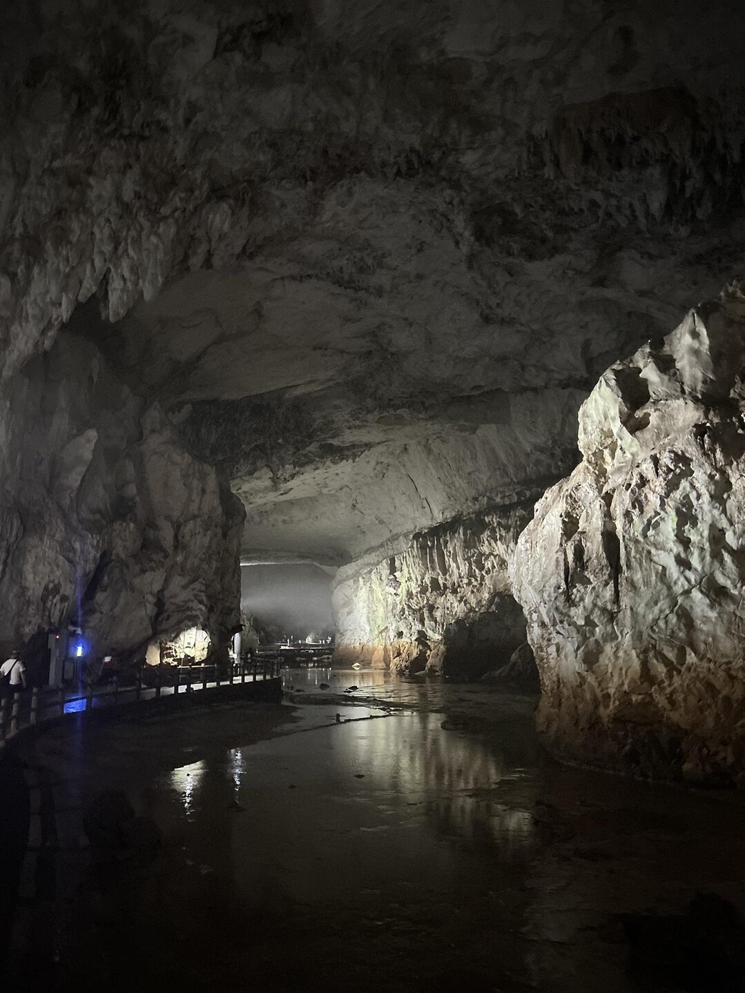 第一回MINE 秋吉台ジオパークウルトラマラソン / けいGさんの秋吉台の活動データ | YAMAP / ヤマップ