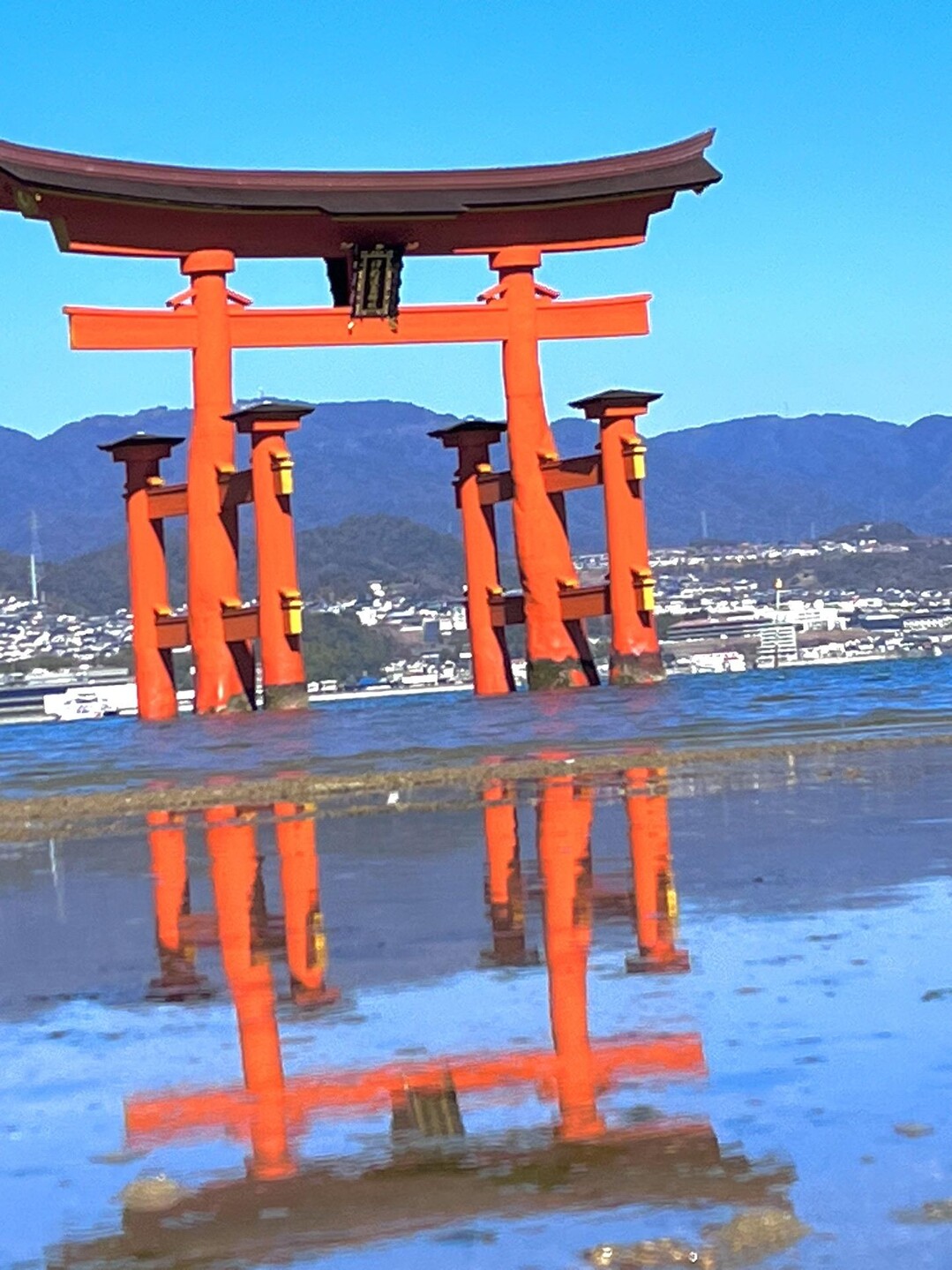 弥山・駒ヶ林・三剣山 / k2さんの宮島（厳島）・弥山の活動データ | YAMAP / ヤマップ