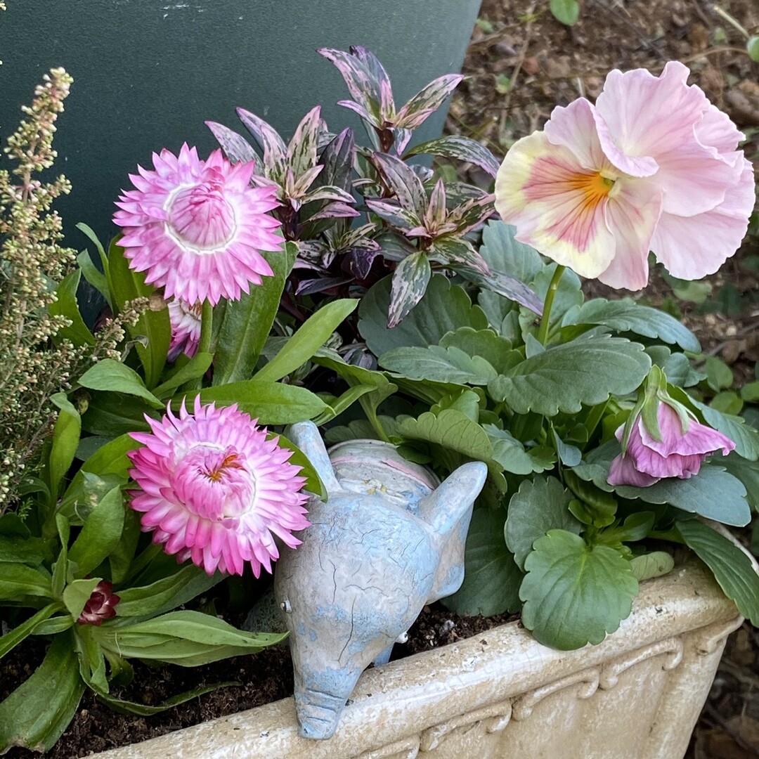 10月は毎週末お山に出ずっぱりだったので... / marco さんのモーメント | YAMAP / ヤマップ