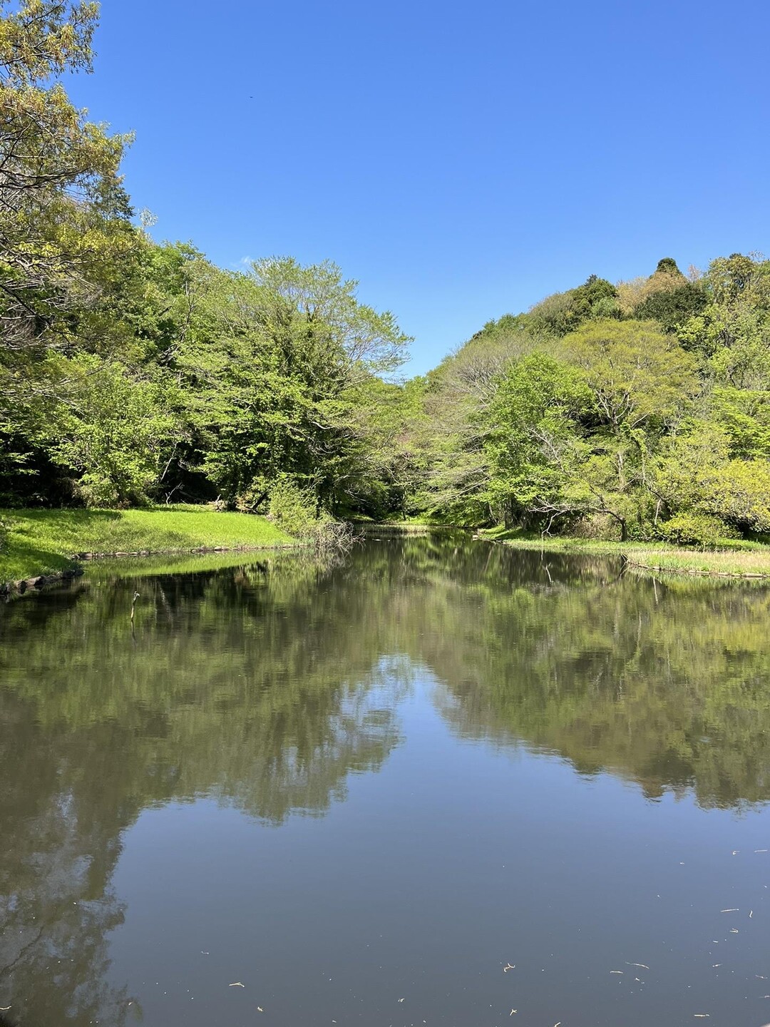 富士山・伝説の丘（本堂山）・三峰山 / FIT RSさんの三峰山・伝説の丘・富士山・伊勢山・瓢箪山の活動データ | YAMAP / ヤマップ